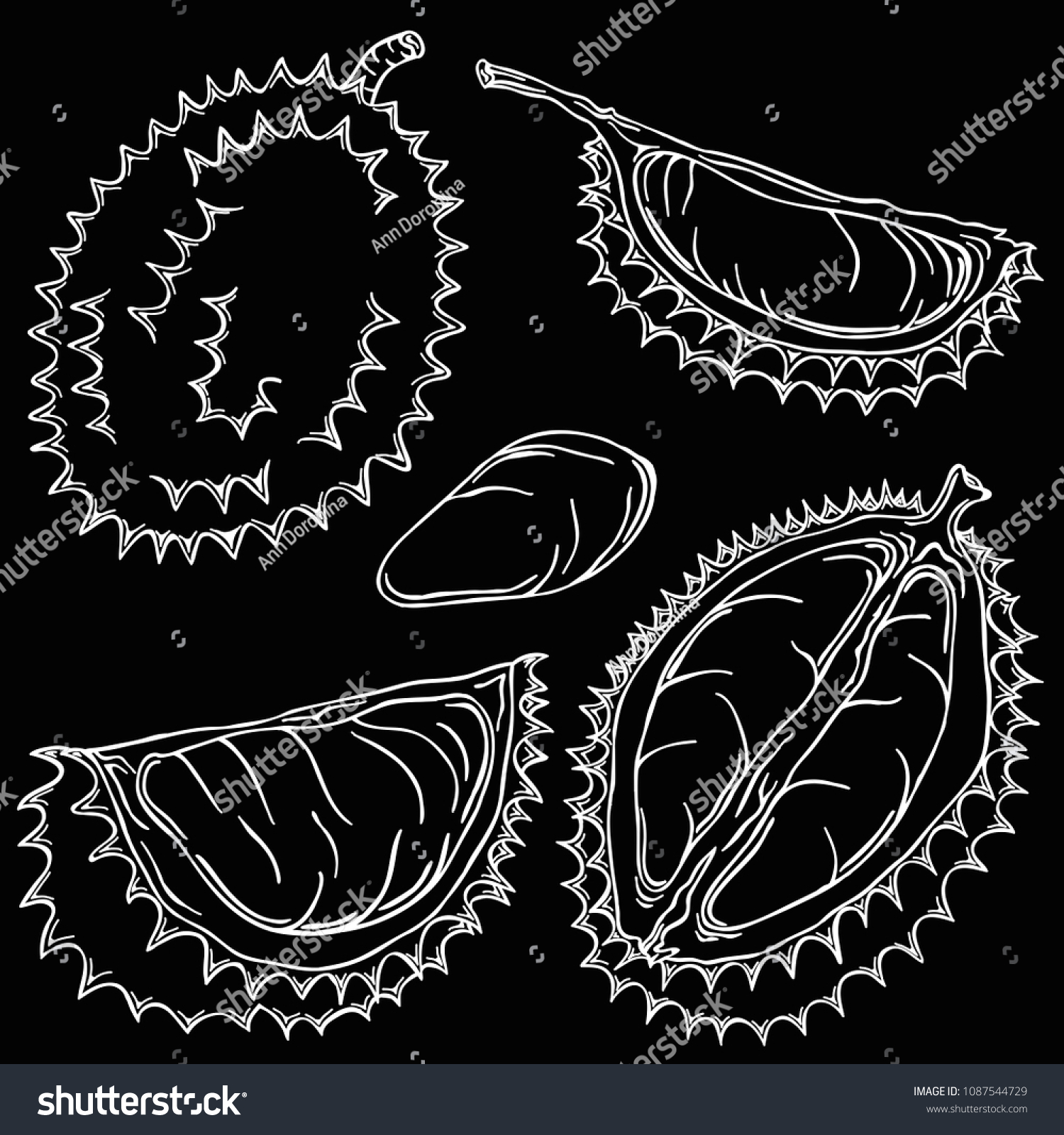 Durian Line Illustration Vector Stock Vector (Royalty Free) 1087544729 ...