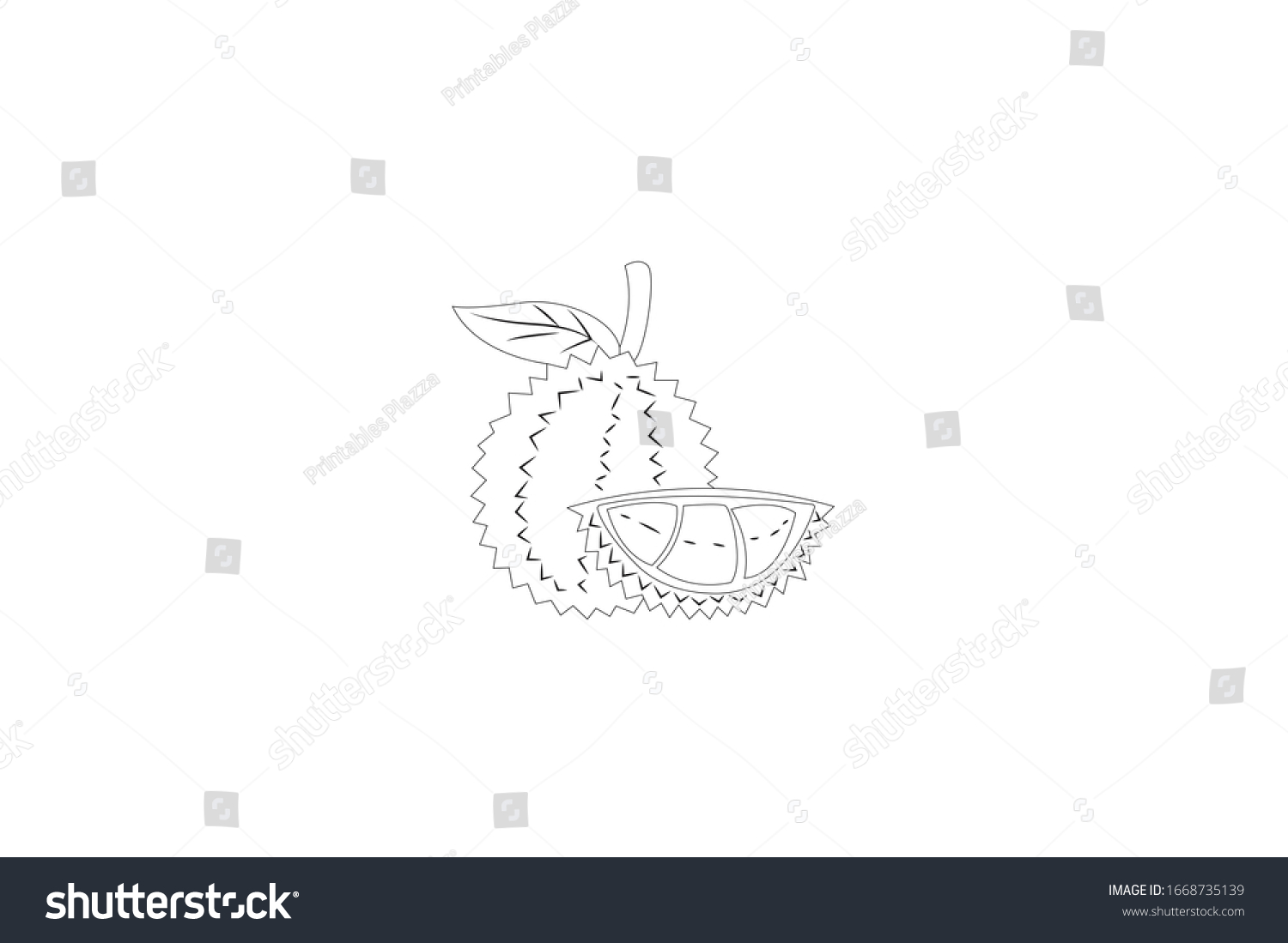 Durian Object Vector Outline Fruit Illustration Stock Vector (Royalty ...