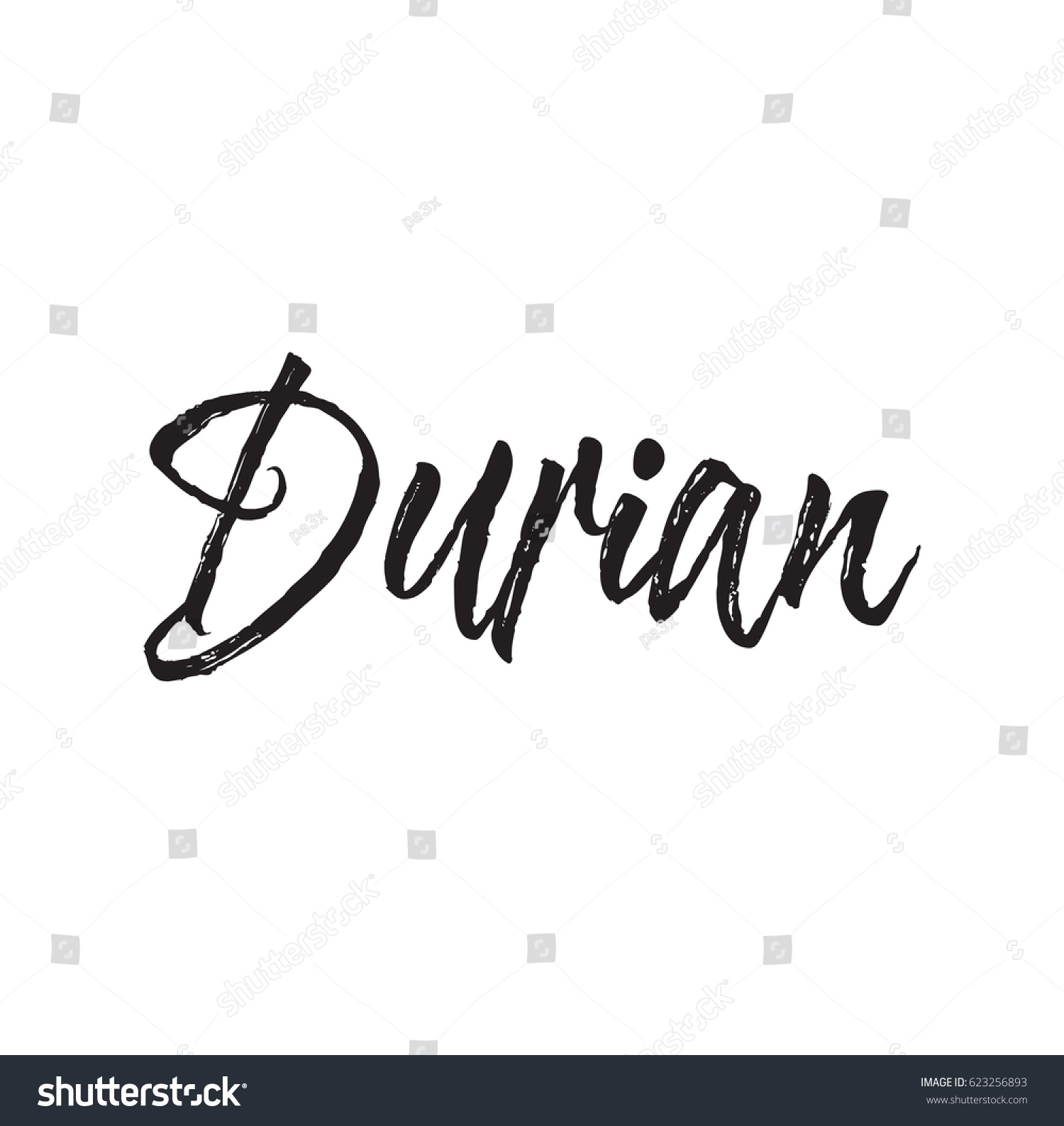 Durian Text Design Vector Calligraphy Typography: vector de stock ...