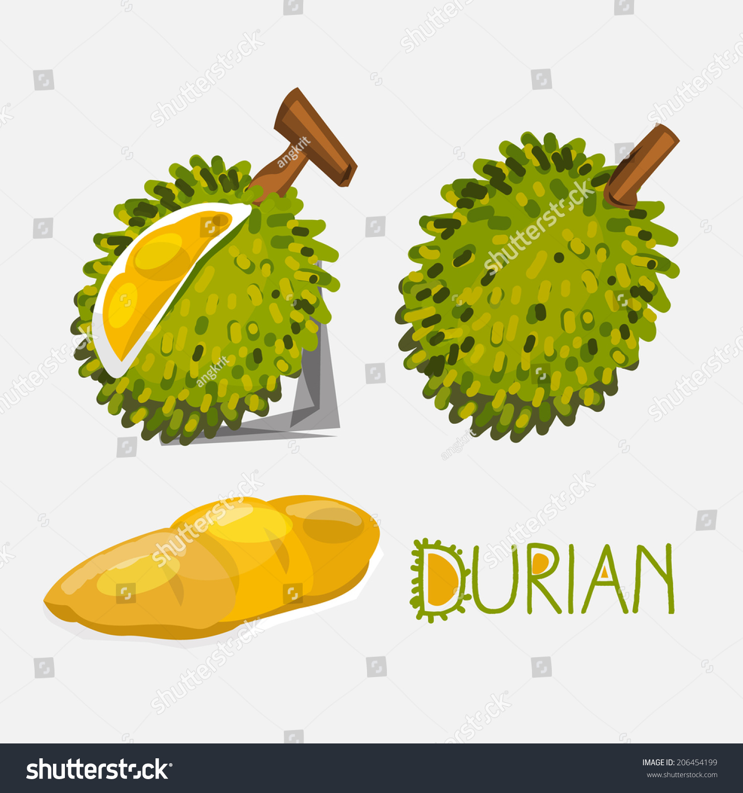 Durian Vector Illustration: vector de stock (libre de regalías) 206454199