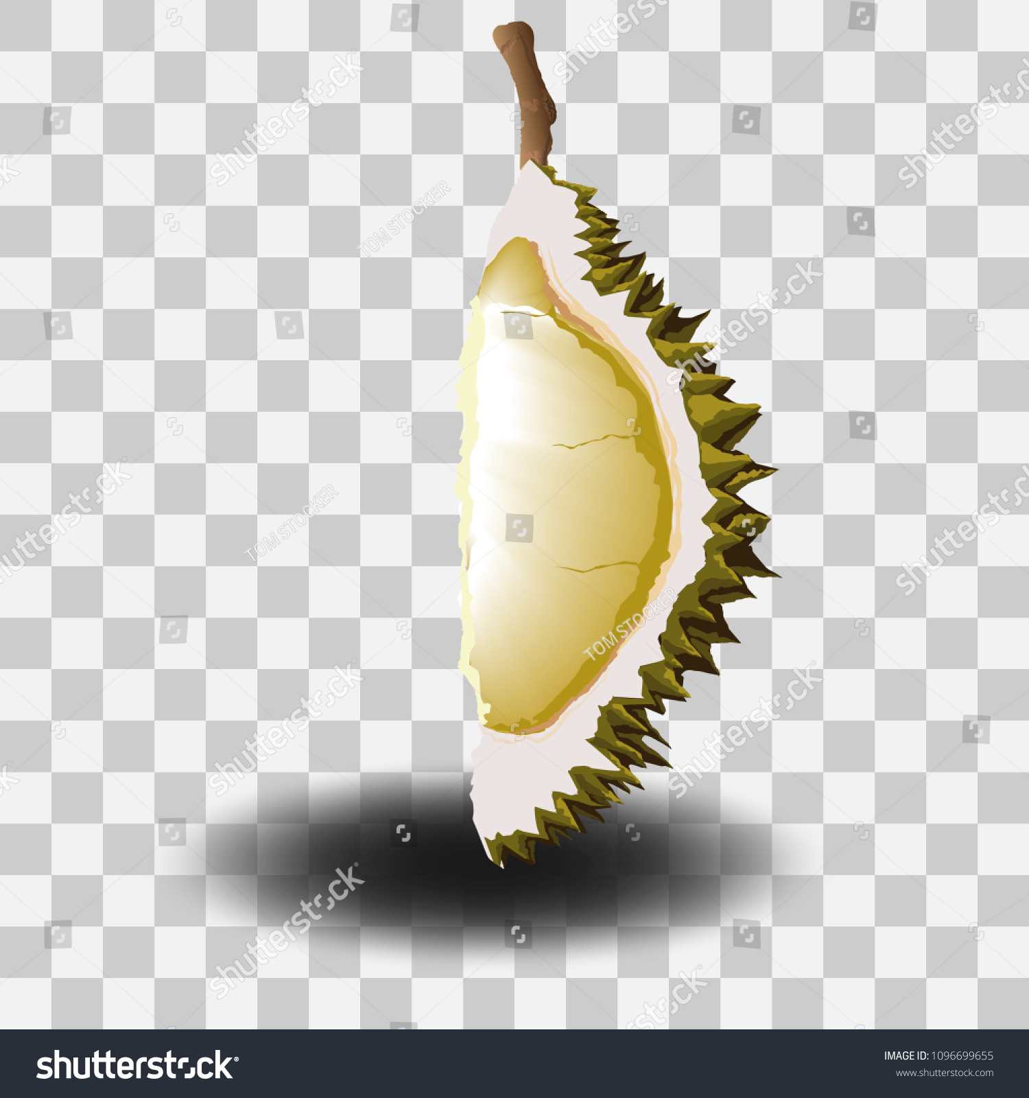 Durian Vectorisolated On Transparent Background Stock Vector (Royalty ...