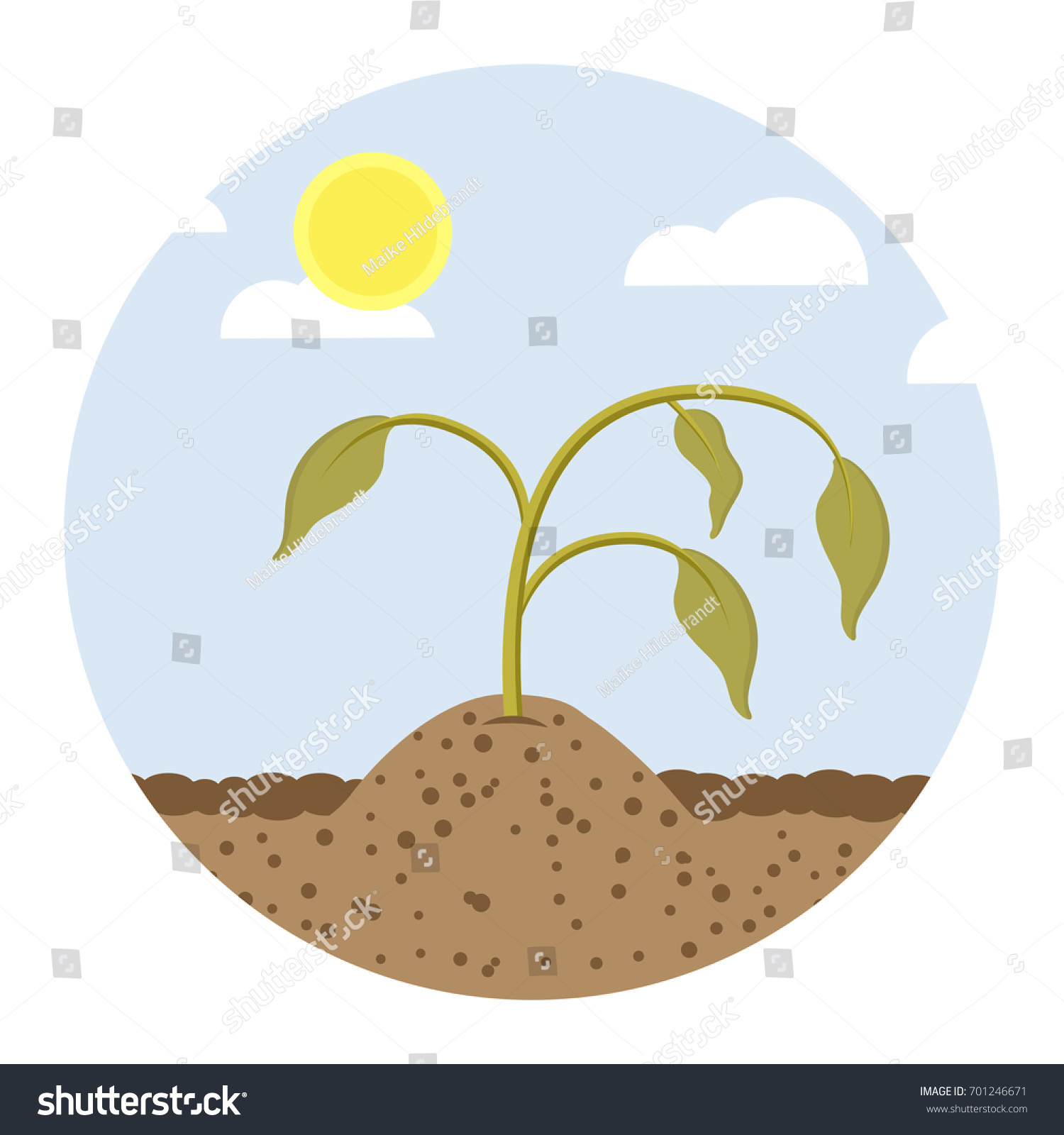 6,013 ilustraciones de Drought plant - Ilustraciones, imágenes y ...