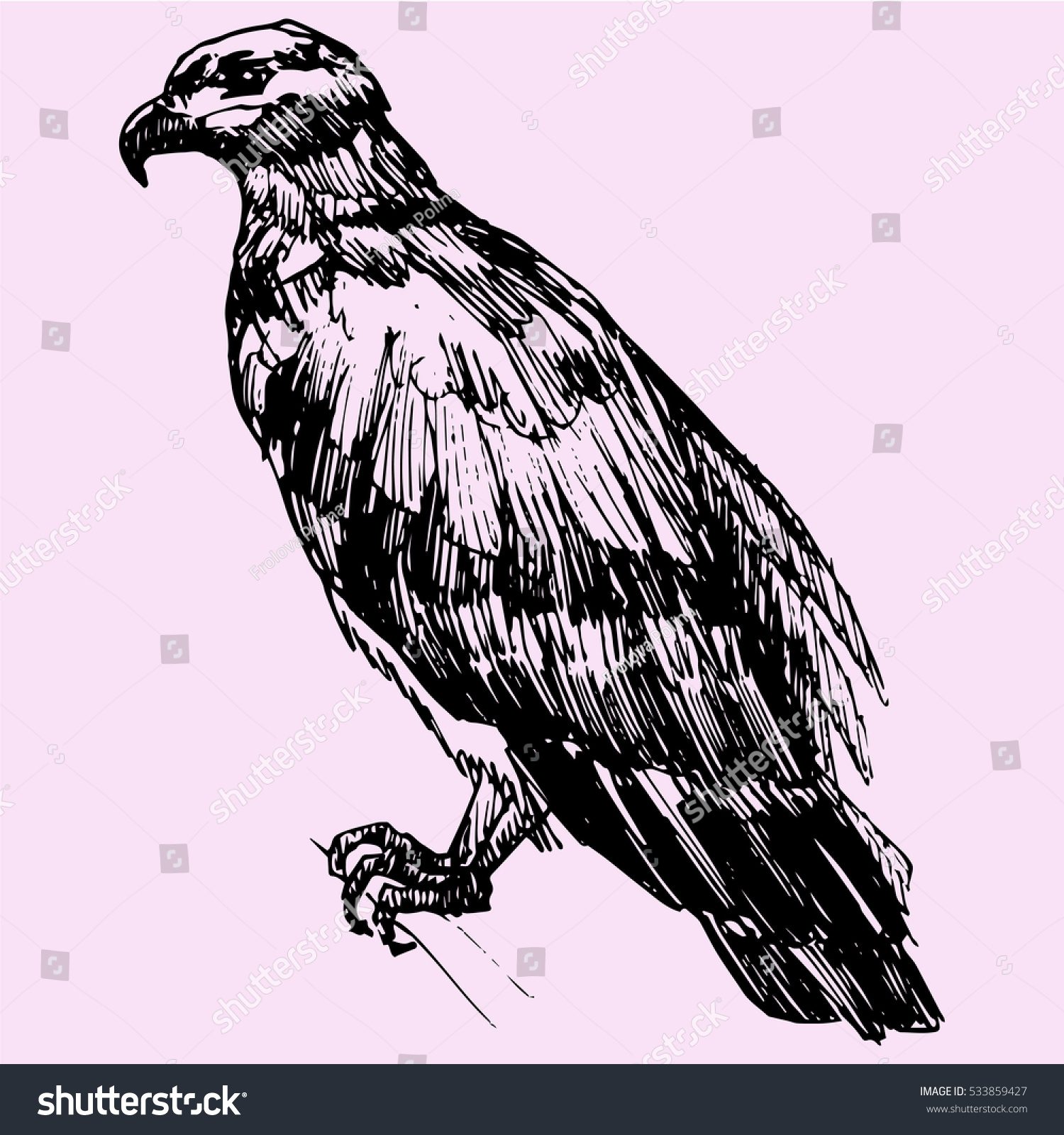 Eagle Doodle Style Sketch Illustration Hand 스톡 벡터(로열티 프리) 533859427 ...