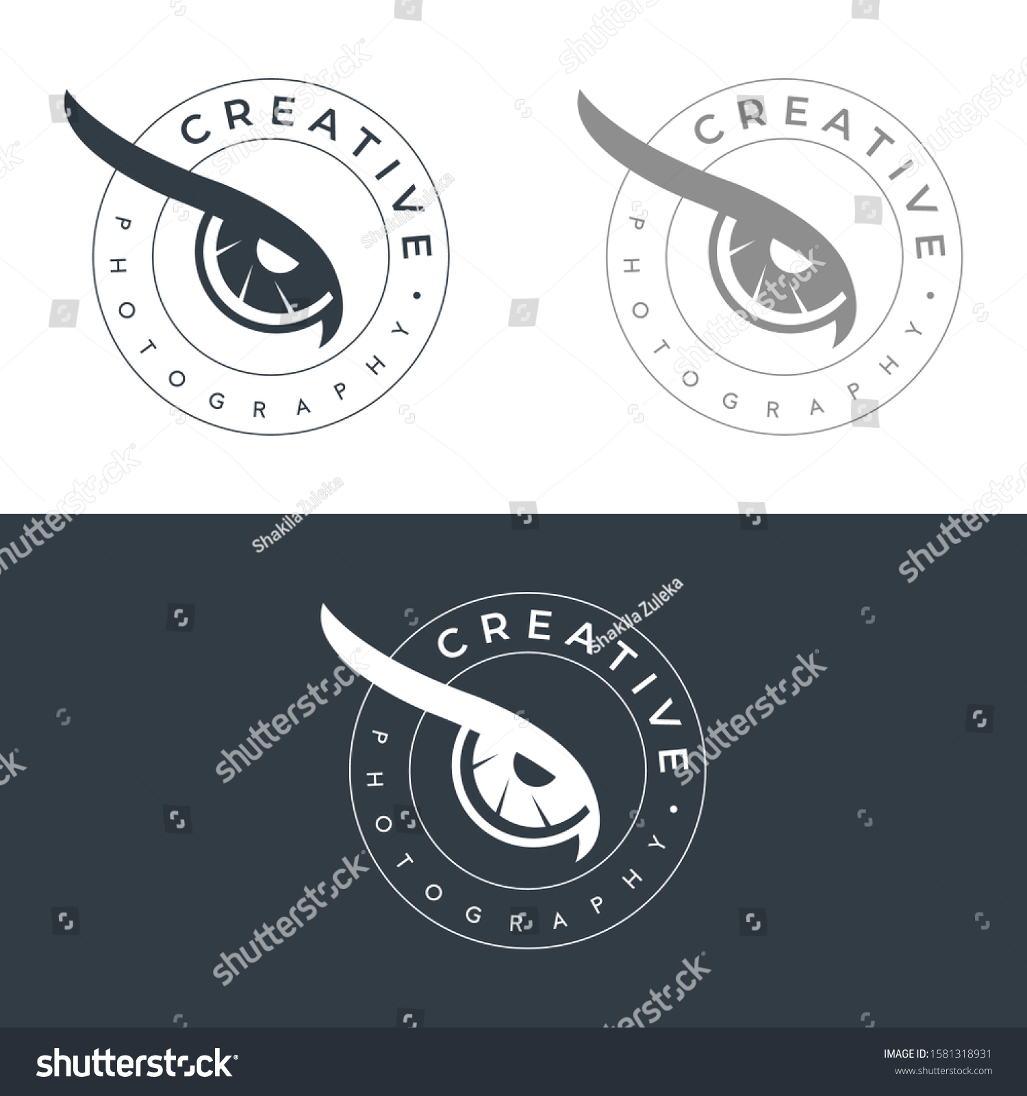 Eagle Eye Logo Design Elegant Lens Stock Vector (Royalty Free) 1581318931