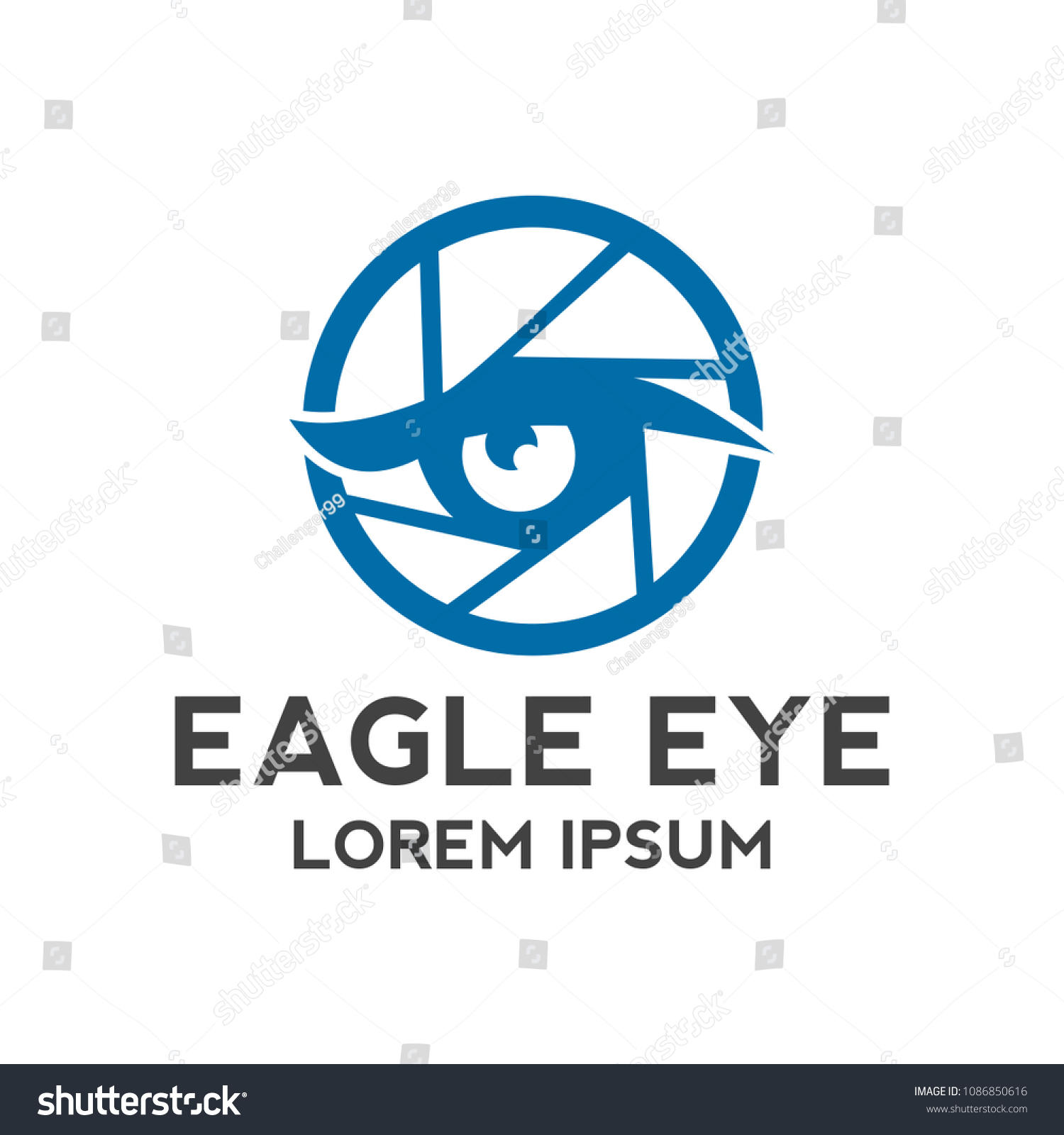 Eagle Eye Logo Camera Vector Illustration Stock Vector (Royalty Free ...