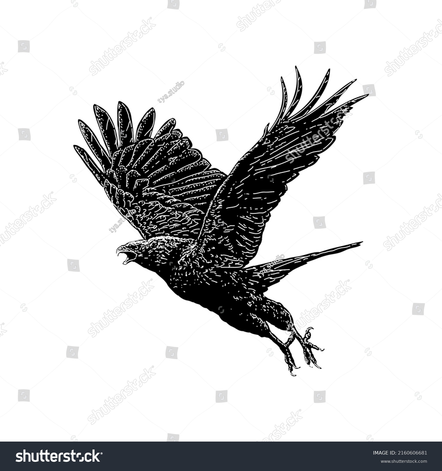 Eagle Hand Drawing Vector Illustration Isolated Stock Vector (Royalty ...