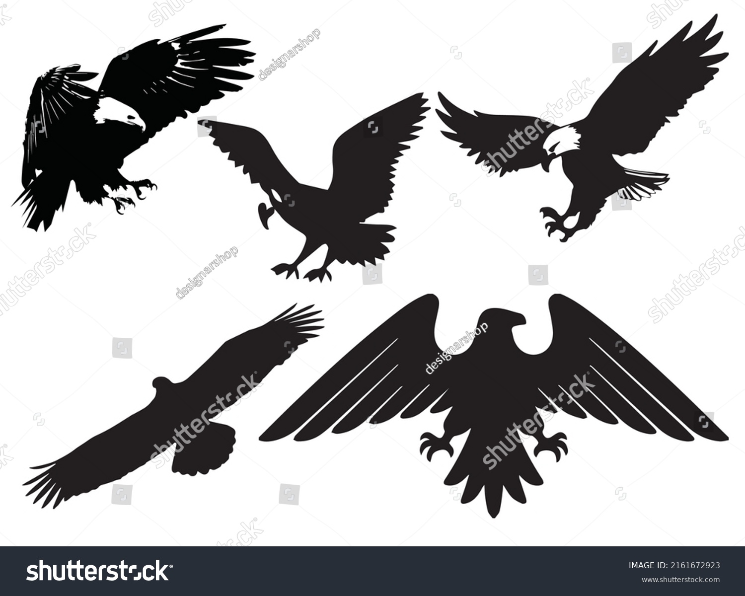 Eagle Isolated Vector Illustration Image Free Stock Vector Royalty