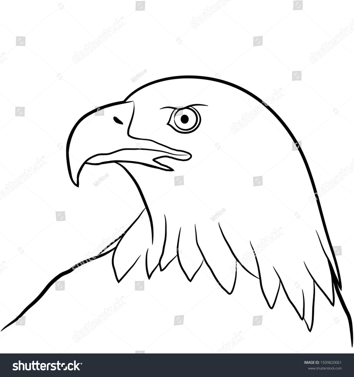 Eagle Outline Illustration Isolate On White Stock Vector (Royalty Free ...