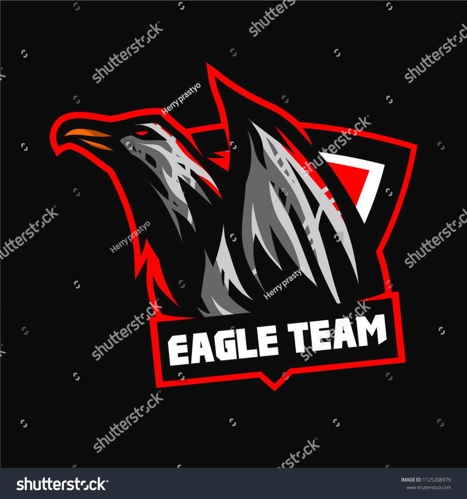 Team Eagle Logo