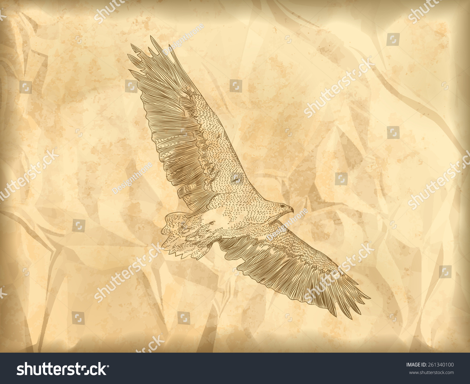 Eagle Vector Illustration Old Paper Scrap Stock Vector (Royalty Free ...