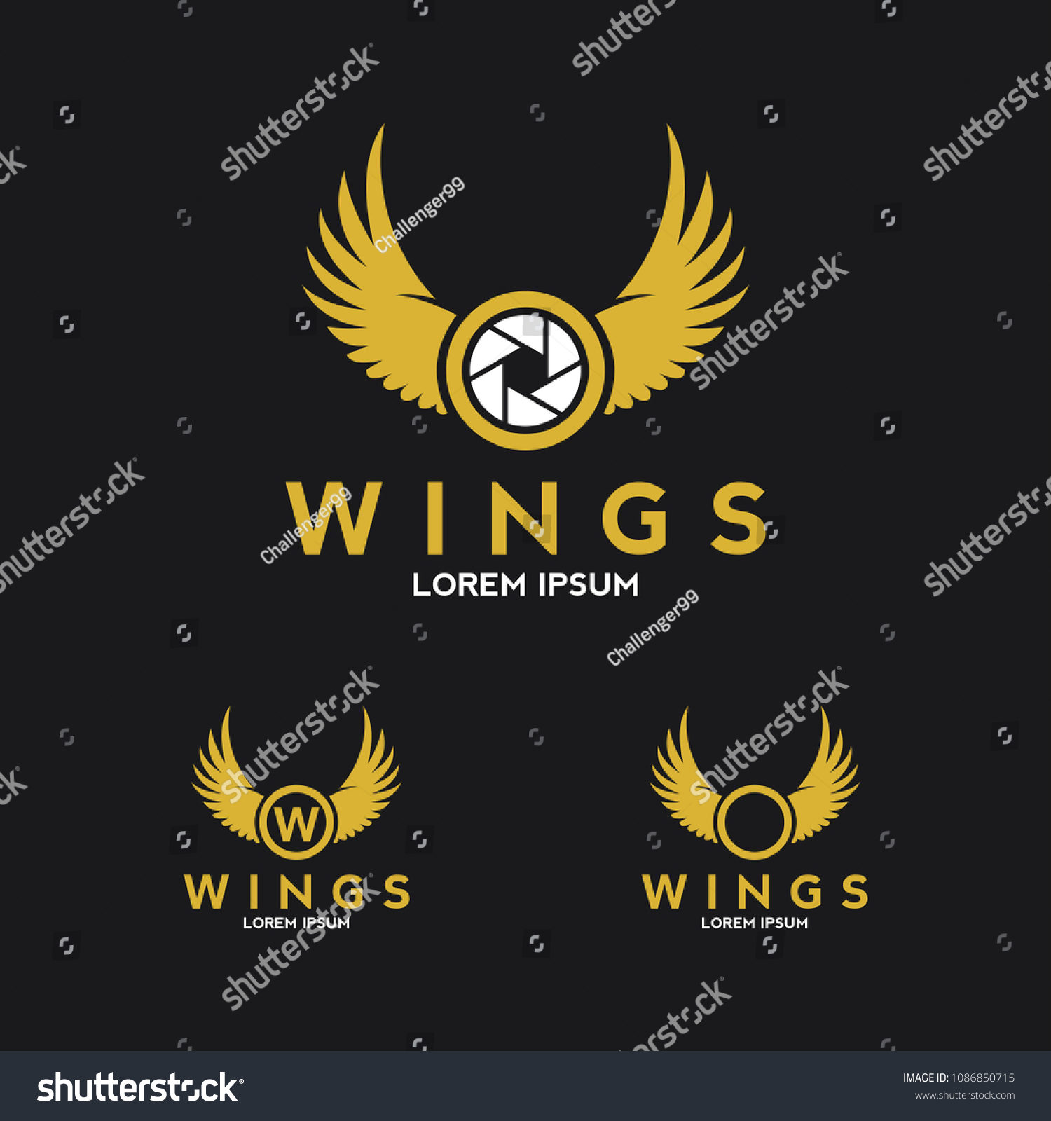 Eagle Wings Logo Camera Icon Vector Stock Vector (Royalty Free ...