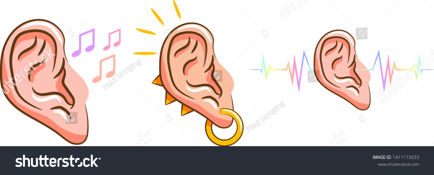 Ear Vector Set Graphic Clipart Design Stock Vector (Royalty Free ...