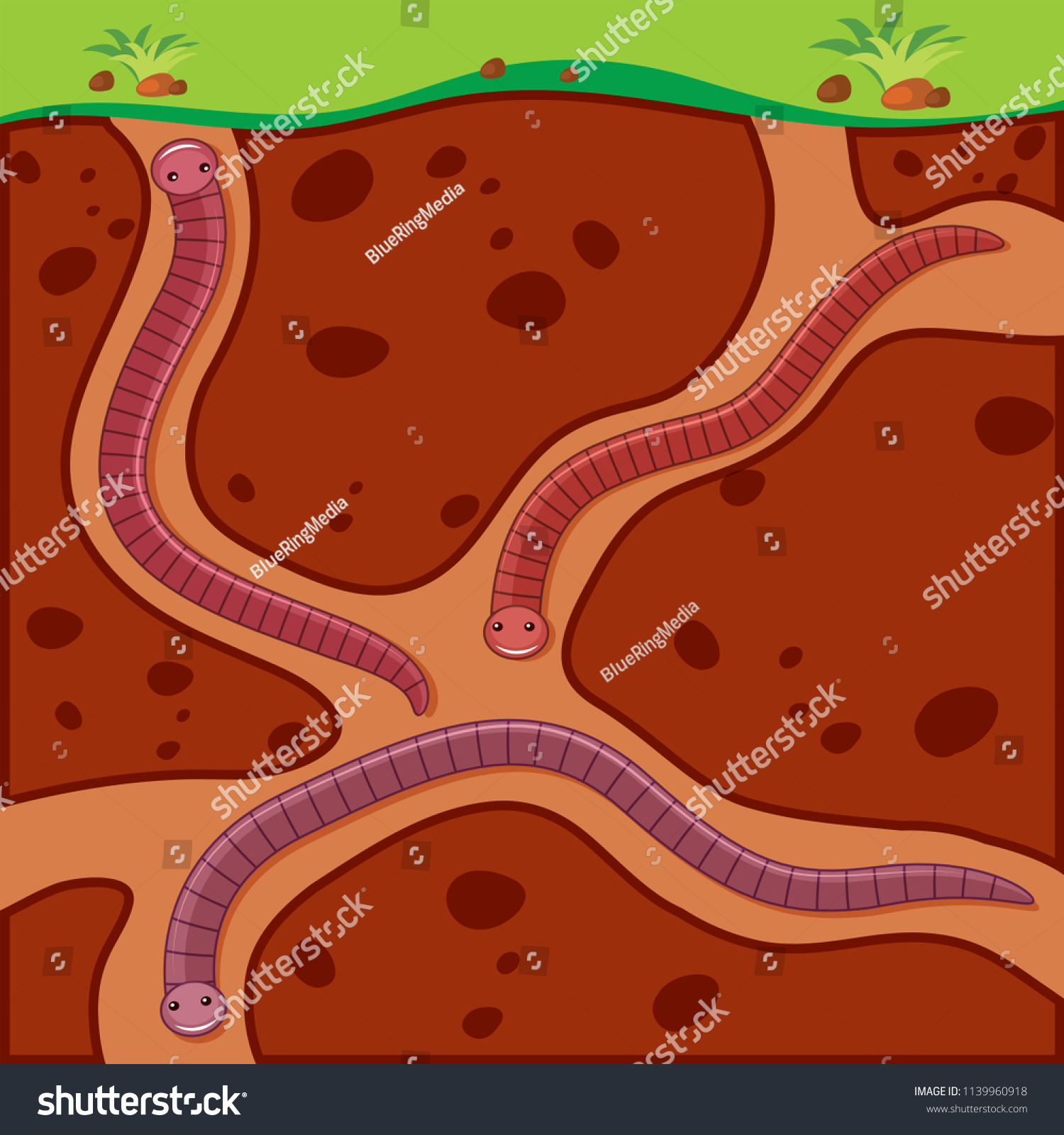Earthworm Digging Soil Underground Illustration Stock Vector (Royalty ...