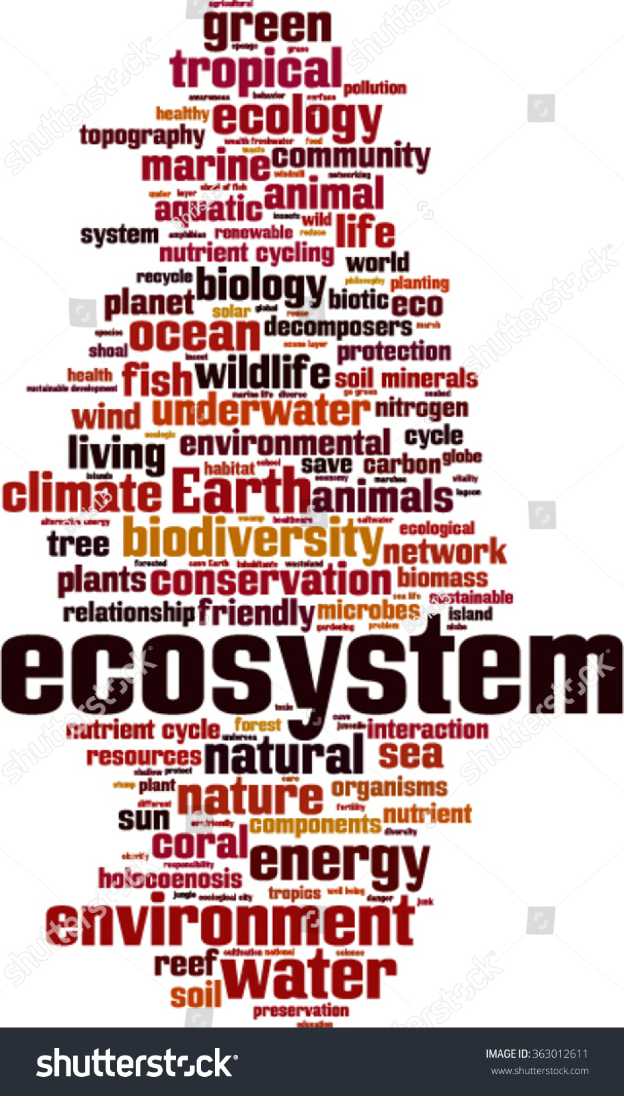 Ecosystem Word Cloud Concept Vector Illustration Stock Vector (Royalty ...