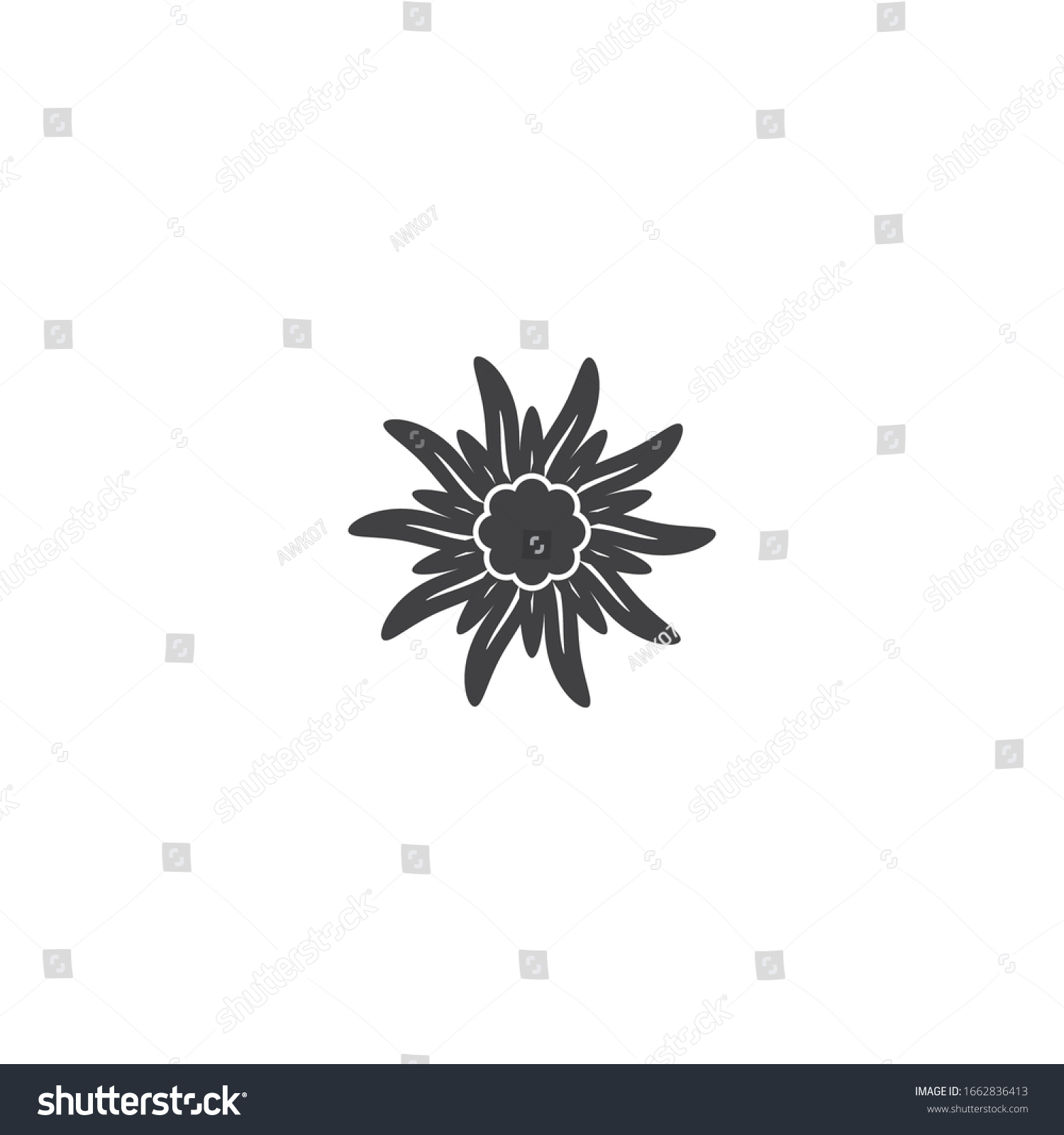 Edelweiss Logo Illustration Vector Design Stock Vector (Royalty Free ...