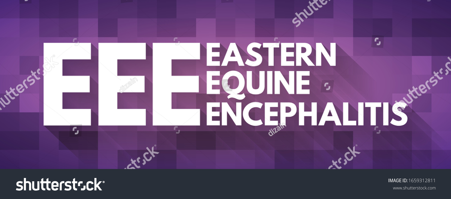 Eee Eastern Equine Encephalitis Rare Disease Stock Vector (Royalty Free ... Eee Eastern Equine Encephalitis Rare Disease Stock Vector (Royalty Free ...