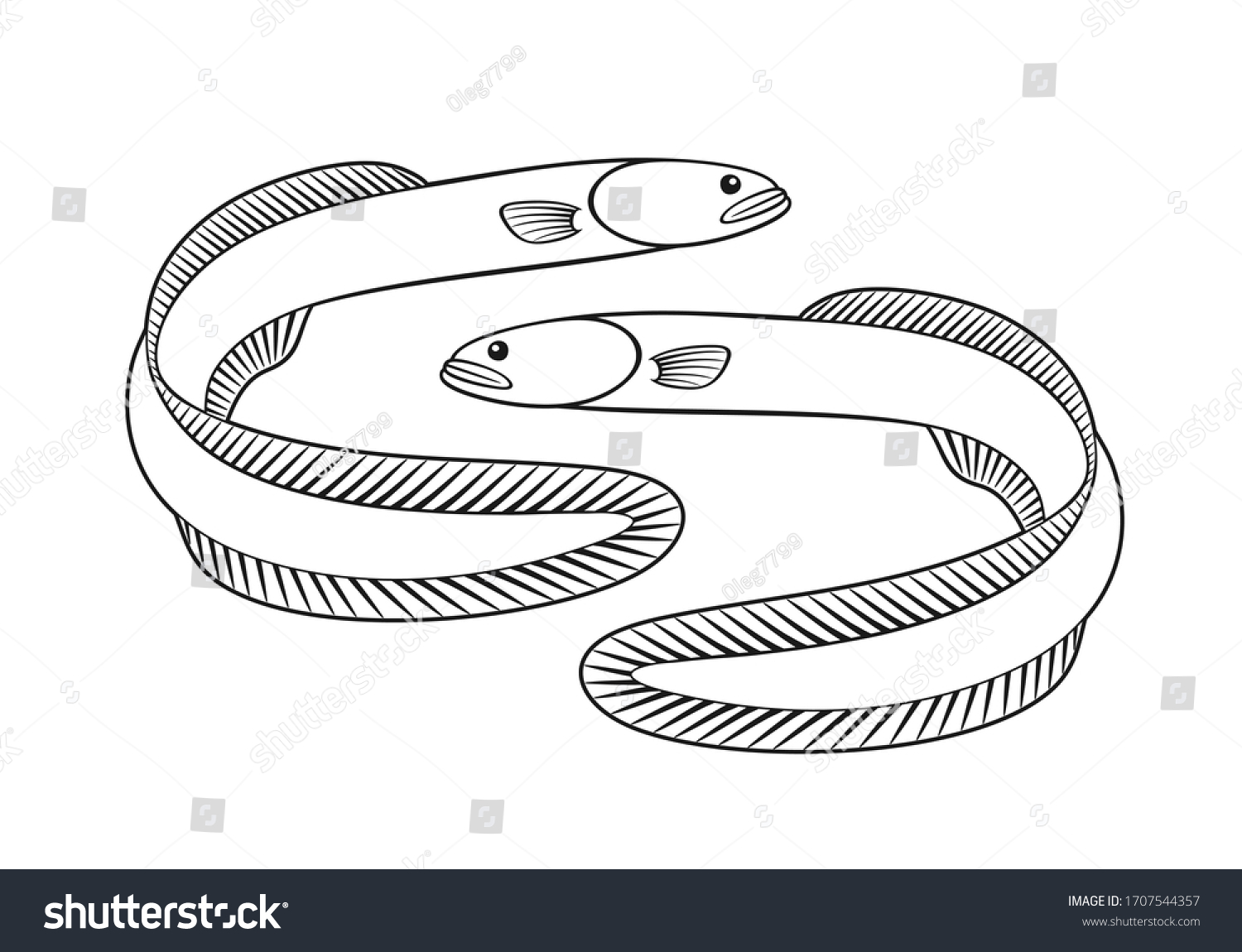 Eel Outline Isolated Eel On White Stock Vector (Royalty Free) 1707544357