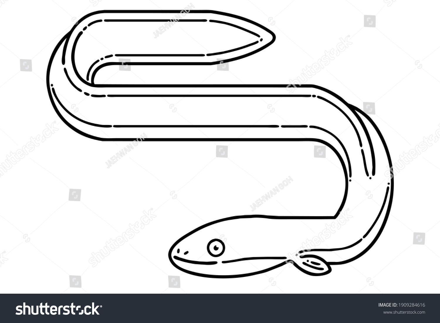 Eelsea Eel Pike Eel Vector Line Stock Vector (Royalty Free) 1909284616