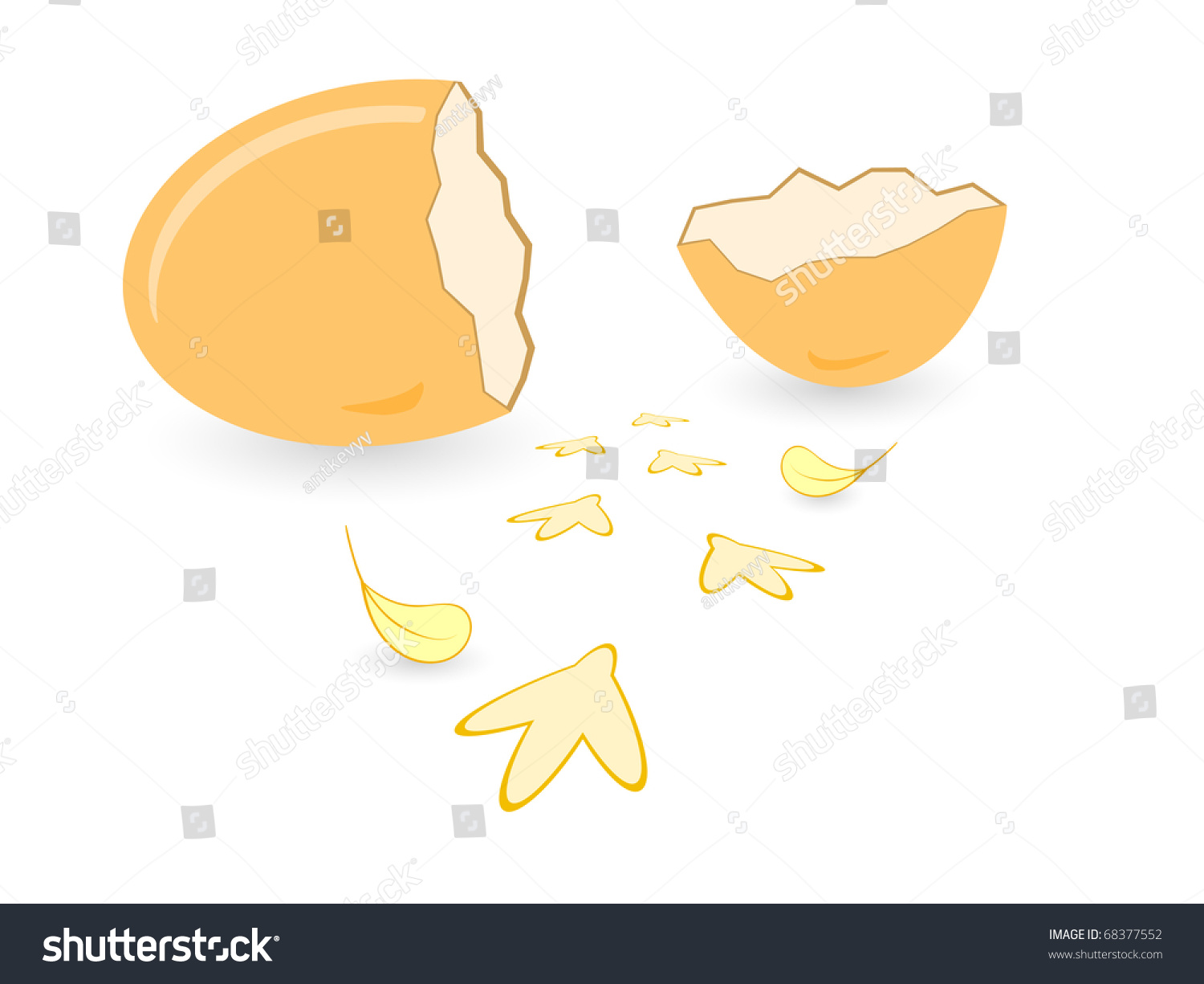 Egg Shell Chicken Tracks Vector Illustration Stock Vector (Royalty Free ...