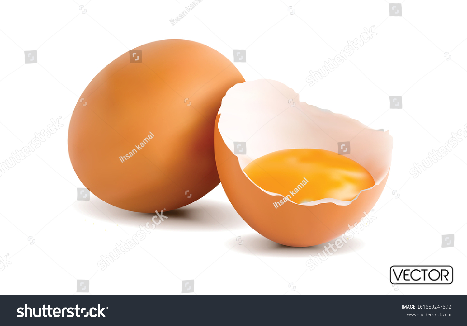 Eggs Isolated On White Background Vector Stock Vector (Royalty Free ...