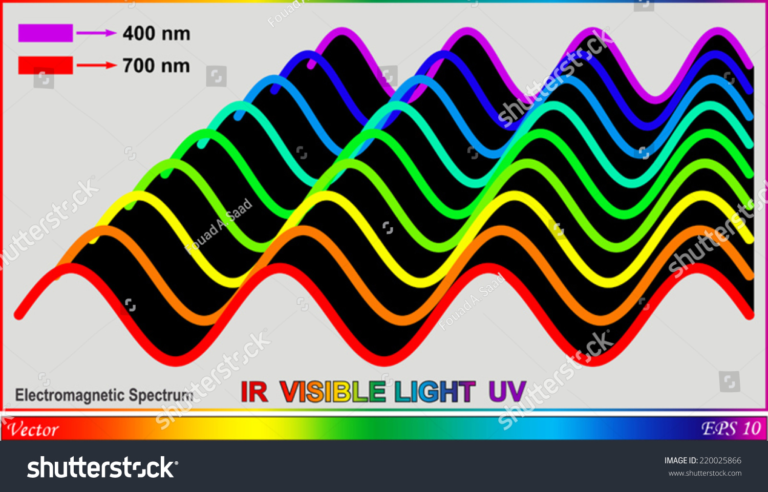 Electromagnetic Spectrum Visible Light Stock Vector (Royalty Free ...