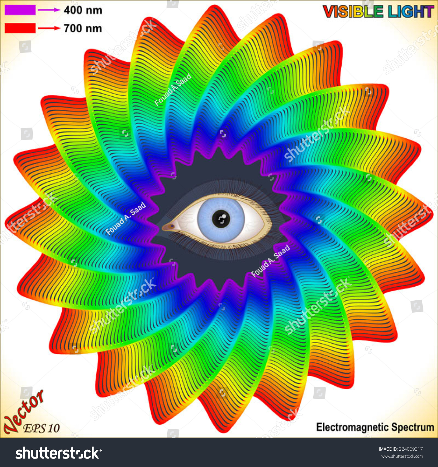 Electromagnetic Spectrum Visible Light Stock Vector (Royalty Free ...