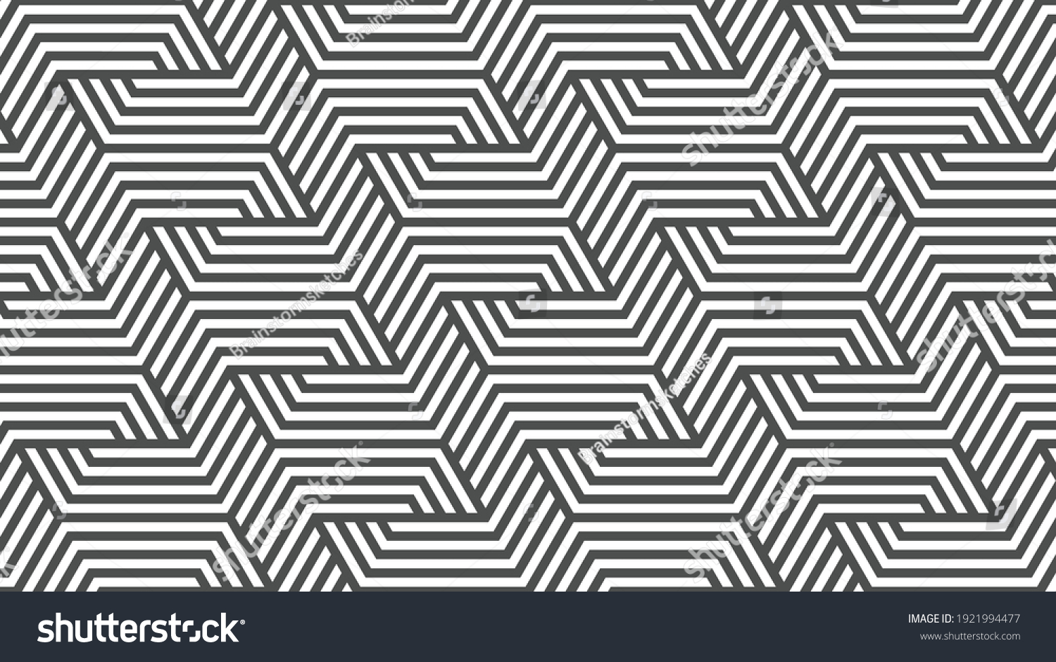 Elegant Abstract Geometric Pattern Various Design Stock Vector (Royalty ...