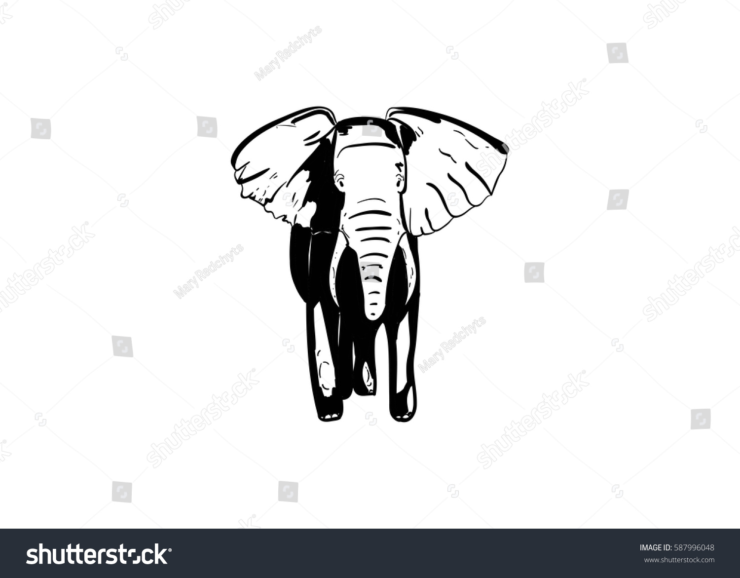 Elephant Hand Drawing Sketch: เวกเตอร์สต็อก (ปลอดค่าลิขสิทธิ์ ...