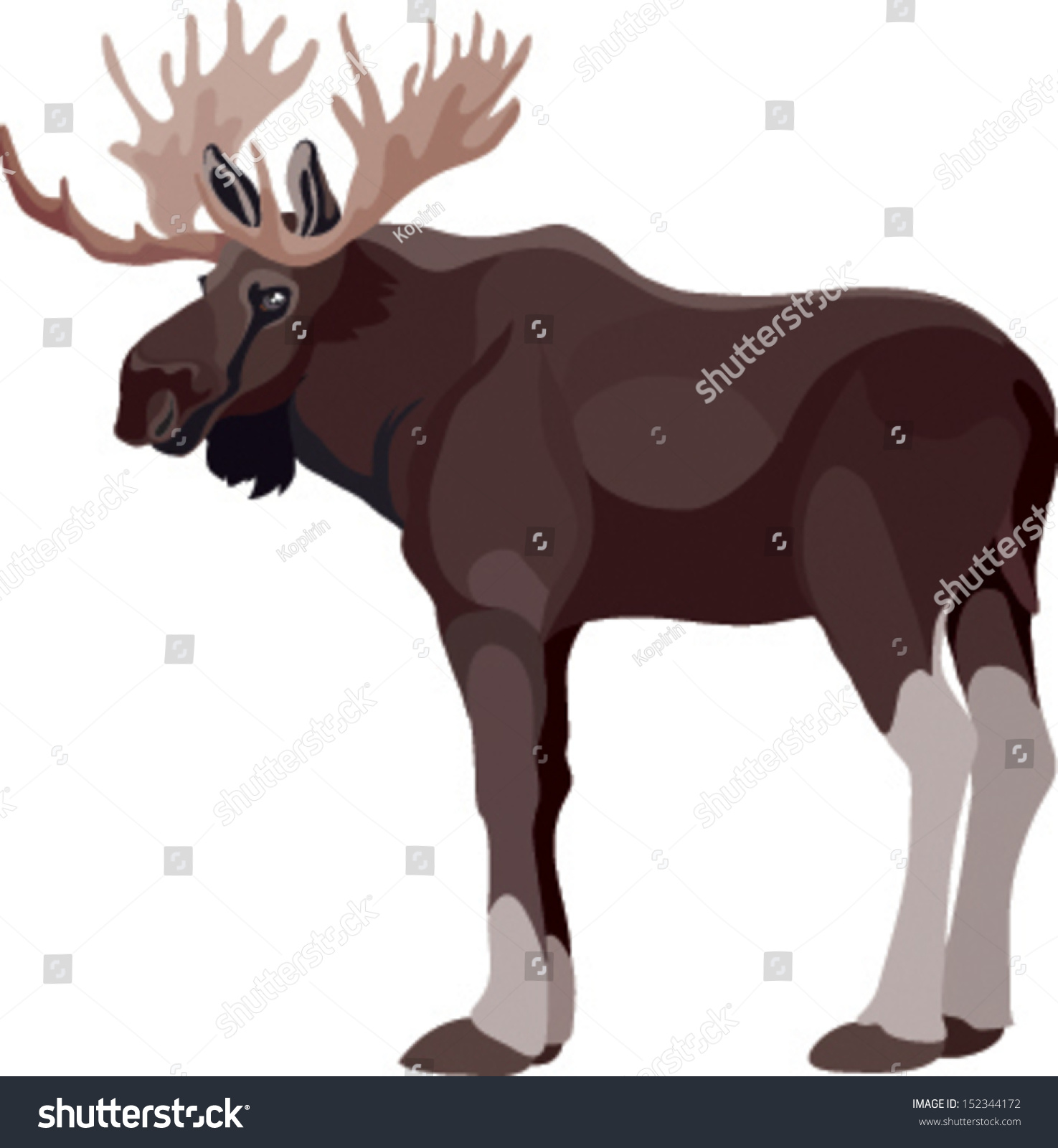 Elk Color Vector Graphics Stock Vector (Royalty Free) 152344172 ...