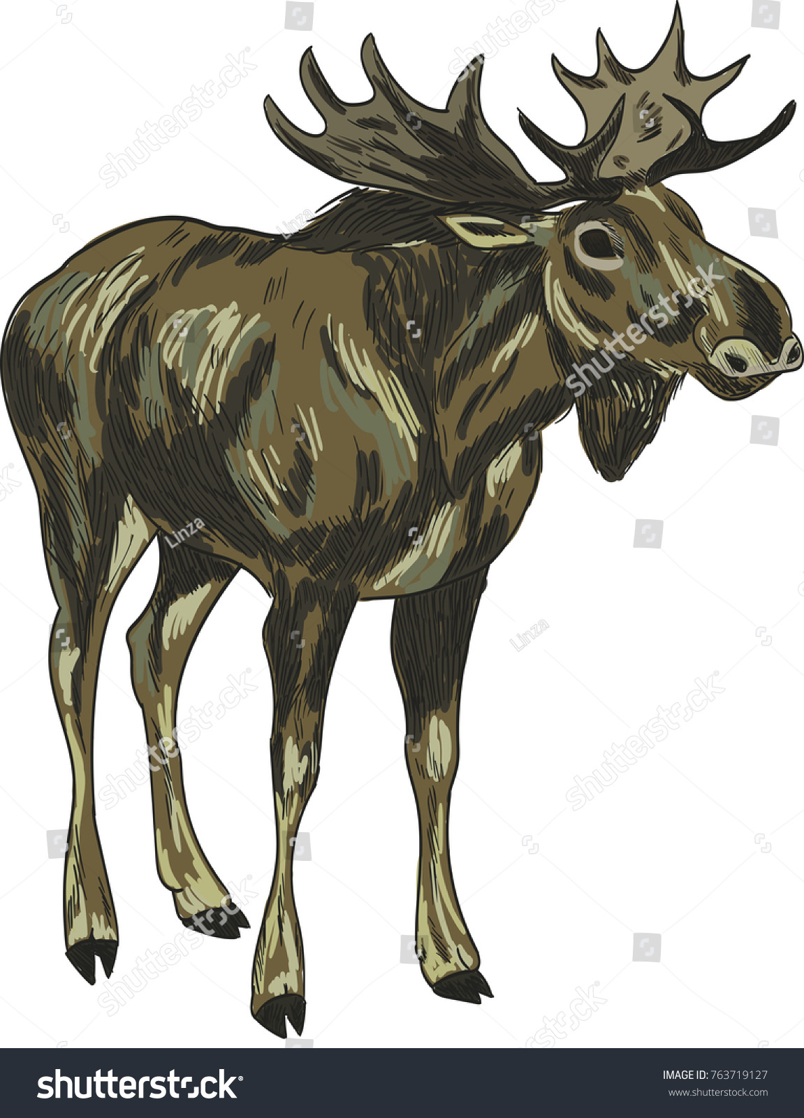 Elk Vector Drawing Illustration Stock Vector (Royalty Free) 763719127