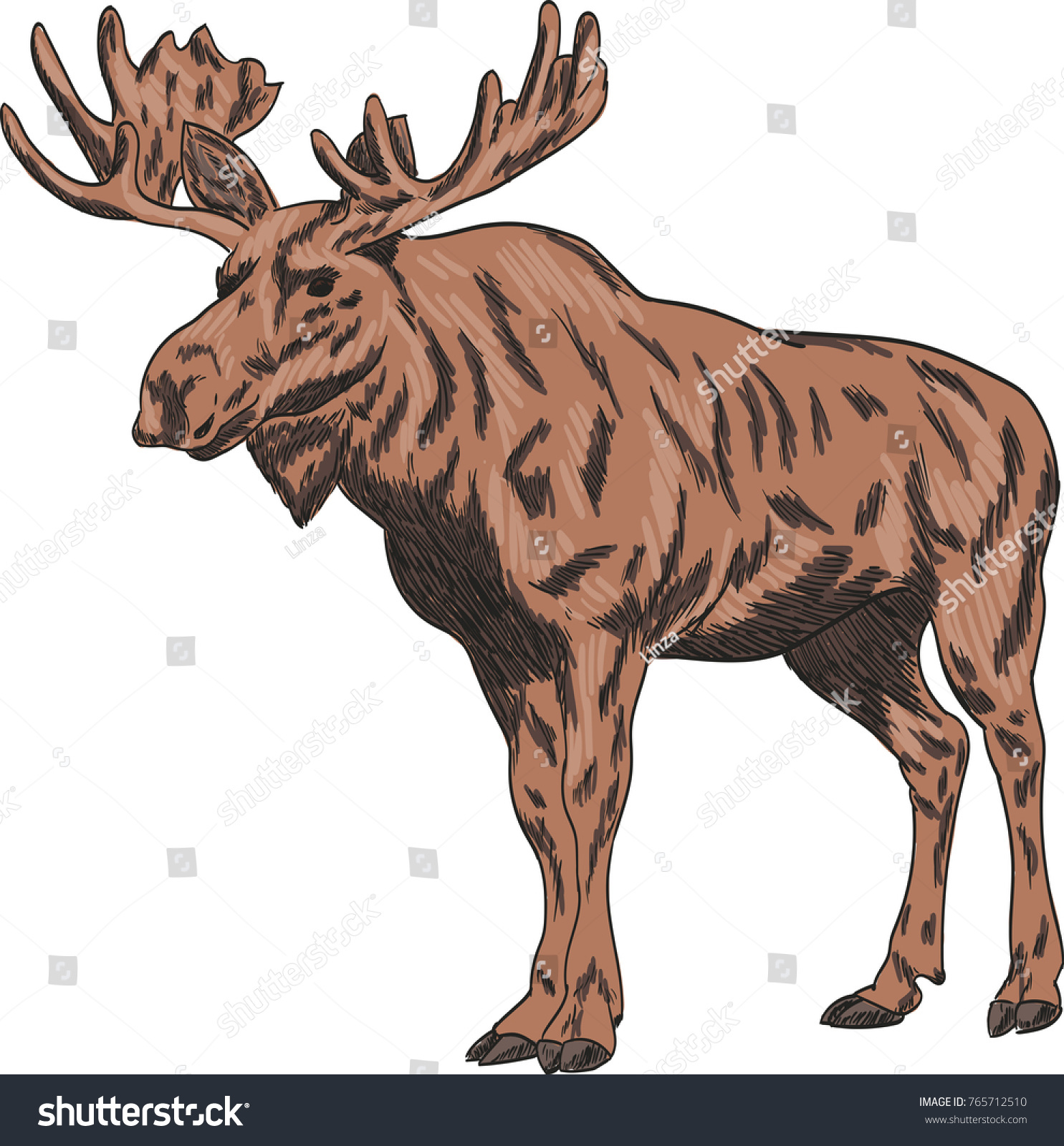 Elk Vector Drawing Illustration Stock Vector (Royalty Free) 765712510