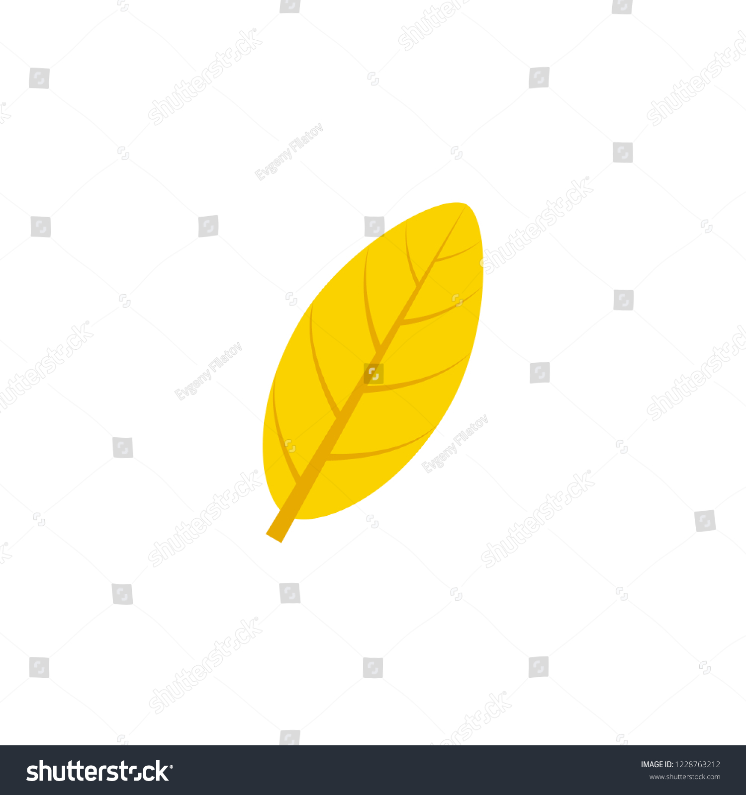 2,562 Elliptic leaf Images, Stock Photos & Vectors | Shutterstock