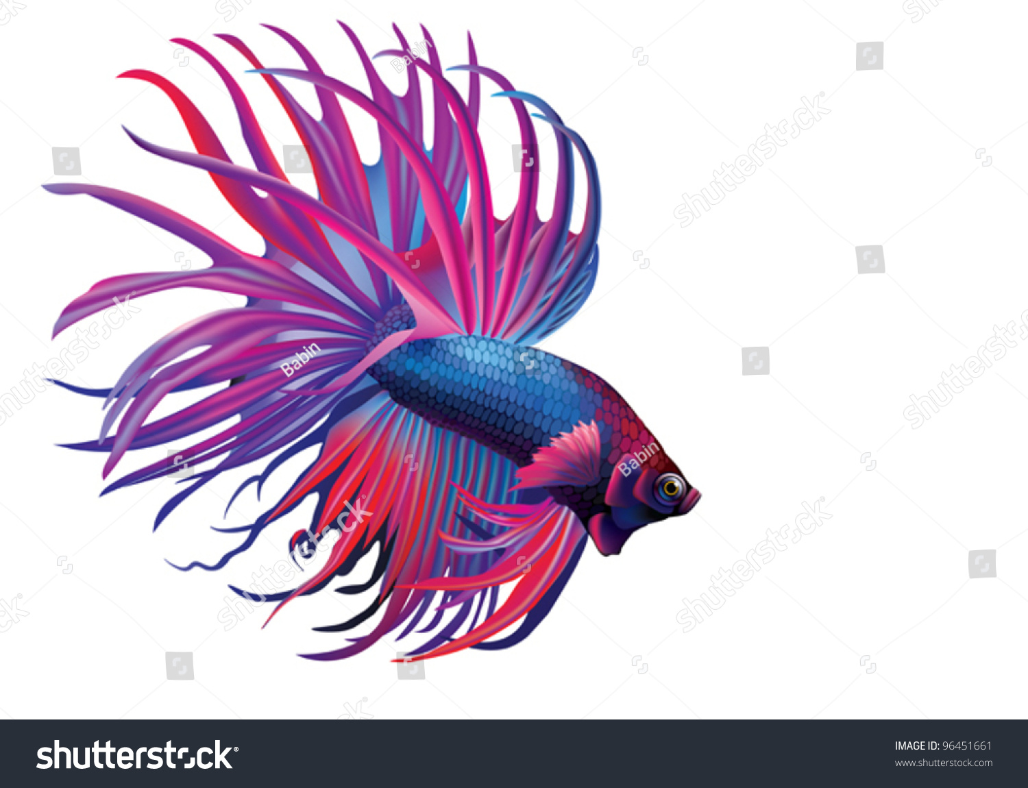Eps 8 Light Golden Rumble Fish Or Cockerel Betta