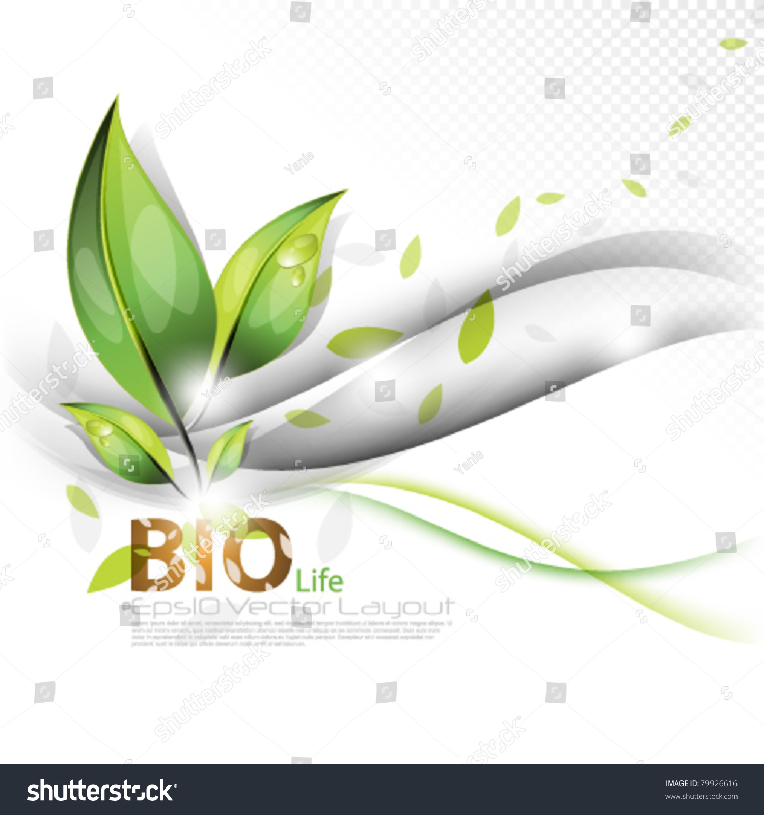Eps10 Vector Wave Leaf Elegant Concept Stock Vector (Royalty Free) 79926616