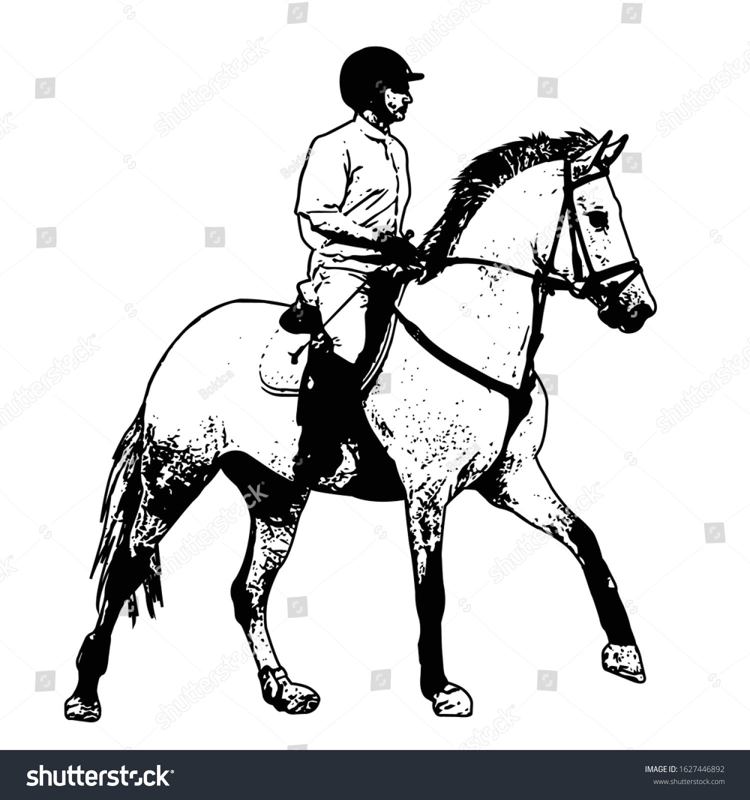 Equestrian Sketch Illustration Vector: vetor stock (livre de direitos ...