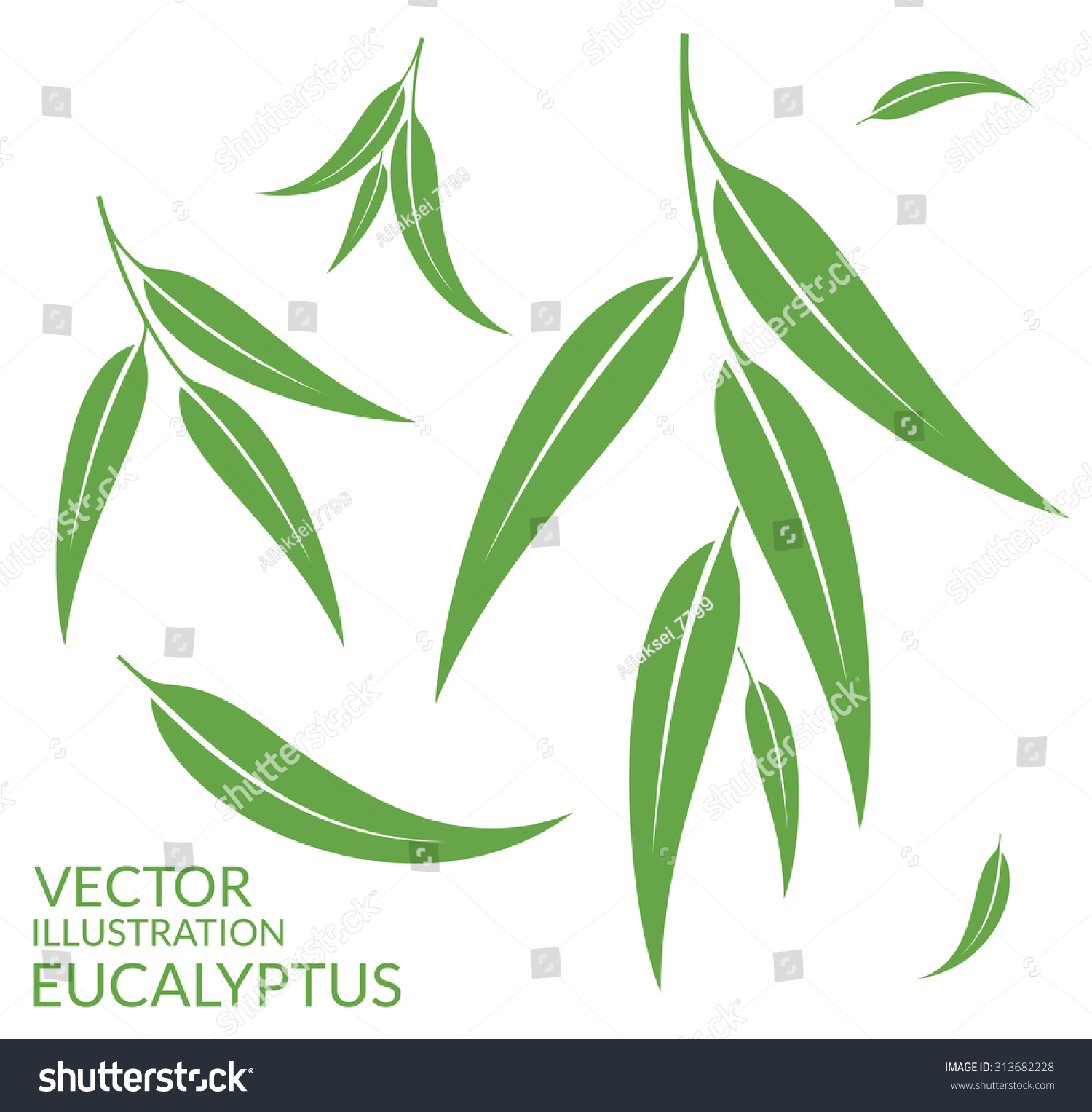 4,747 Eucalyptus tree icon Images, Stock Photos & Vectors | Shutterstock
