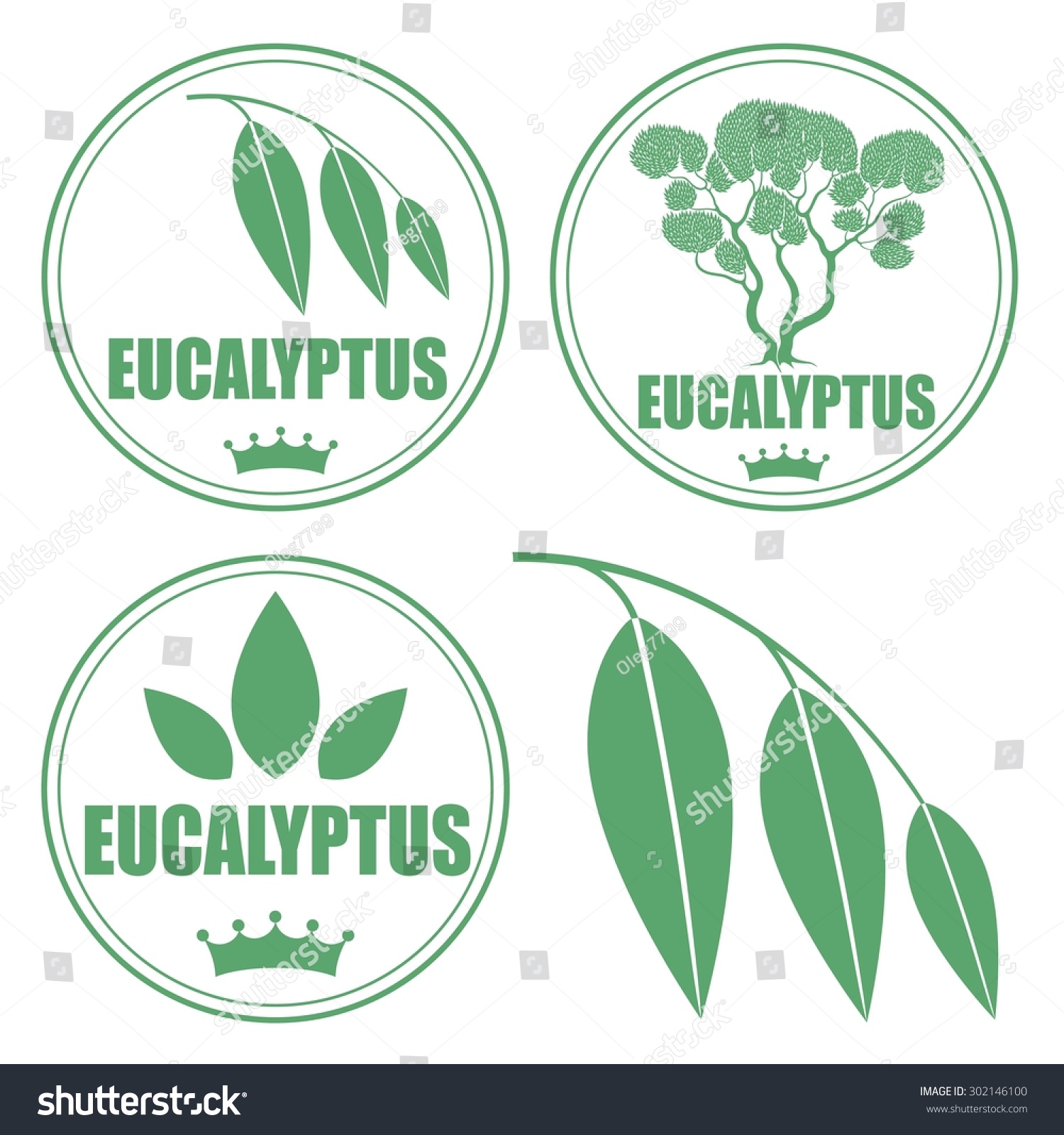 Eucalyptus Logo Isolated Eucalyptus On White Stock Vector (Royalty Free ...