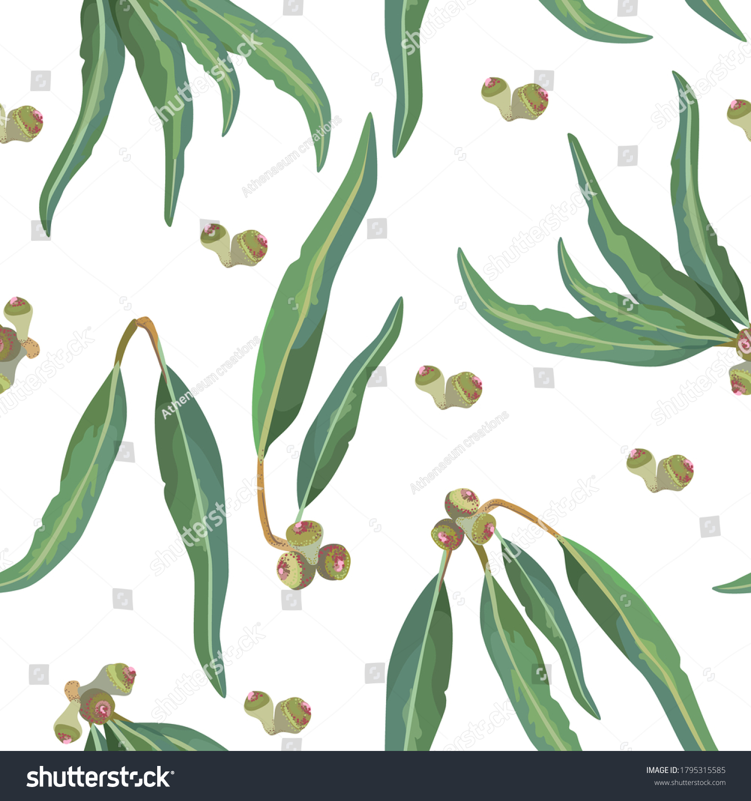Eucalyptus Seamless Pattern Gum Tree Nuts Stock Vector (Royalty Free ...