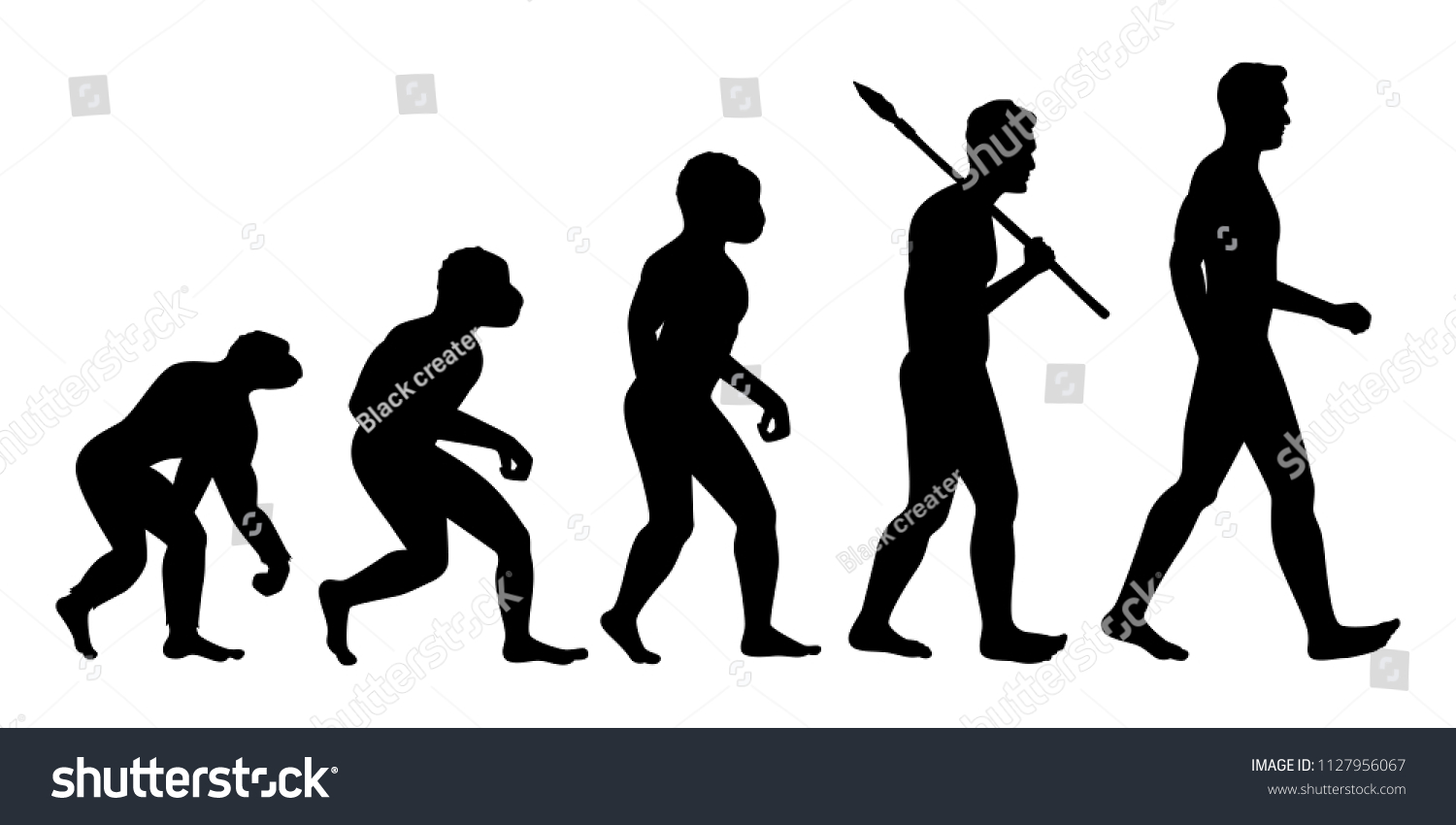 Evolution Human Silhouette Vector Stock Vector (Royalty Free ...