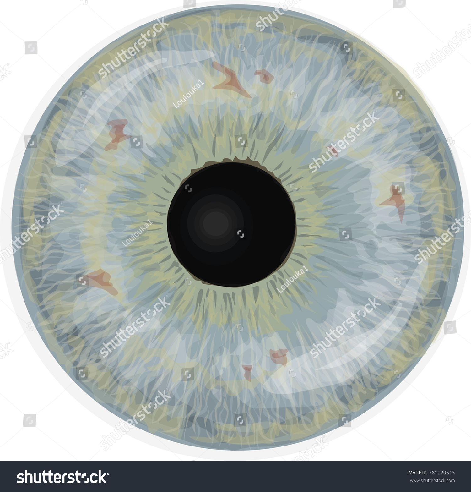 Eye Iris Realistic Vector Eye Iris: เวกเตอร์สต็อก (ปลอดค่าลิขสิทธิ์ ...
