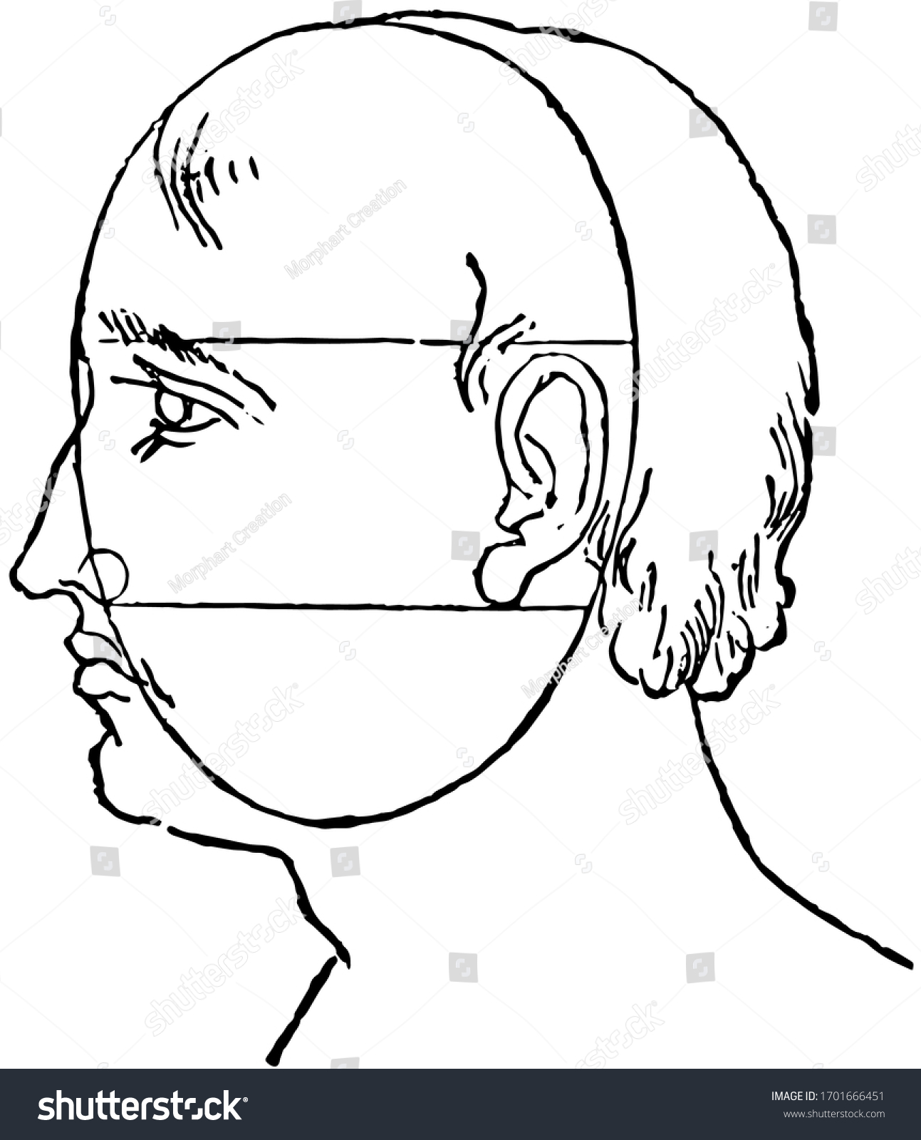 Face Perspective Simplify Head Into Basic Stock Vector (Royalty Free ...