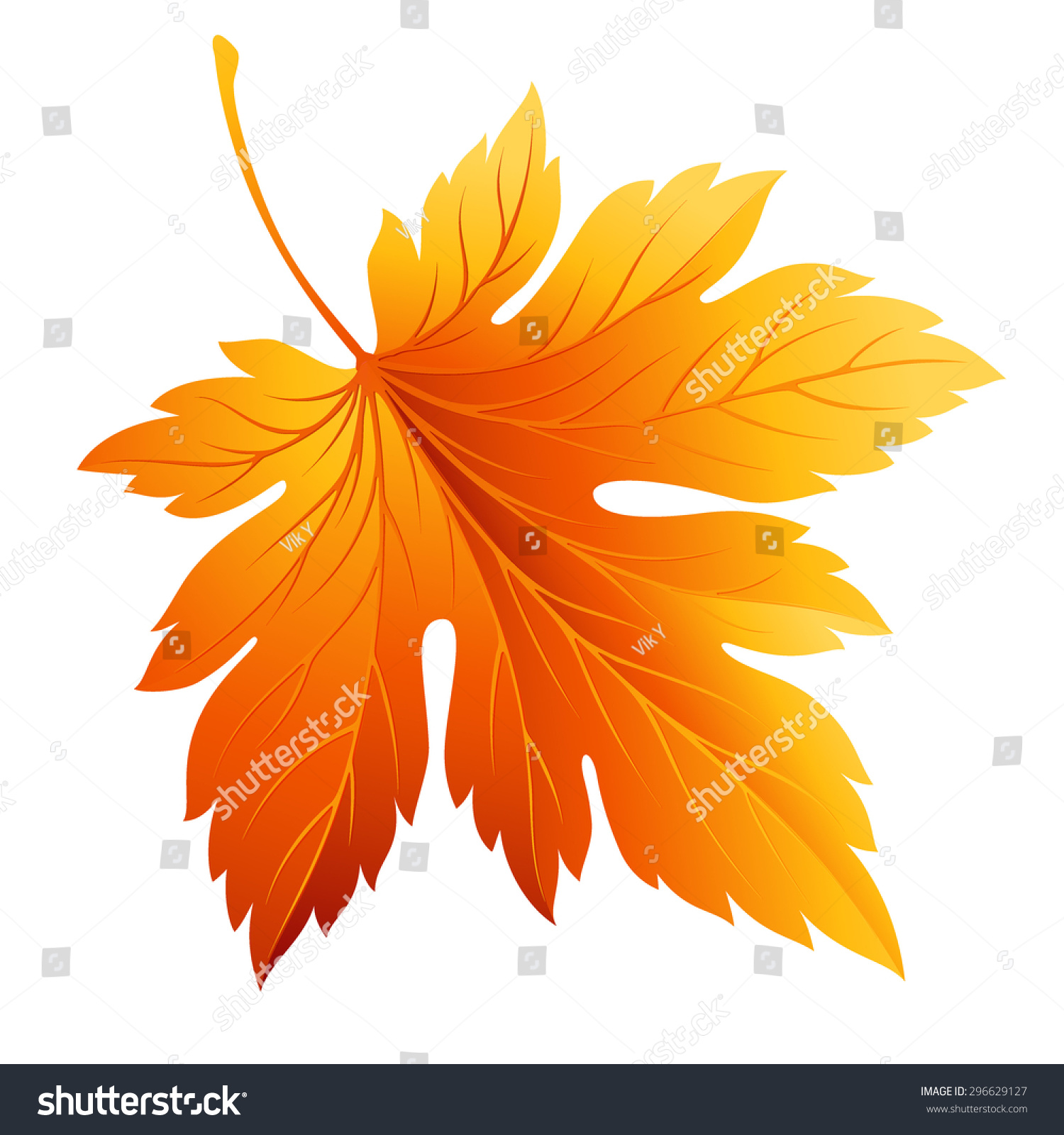 Fall Leaf Isolated White Vector Illustration Stock Vector (Royalty Free ...