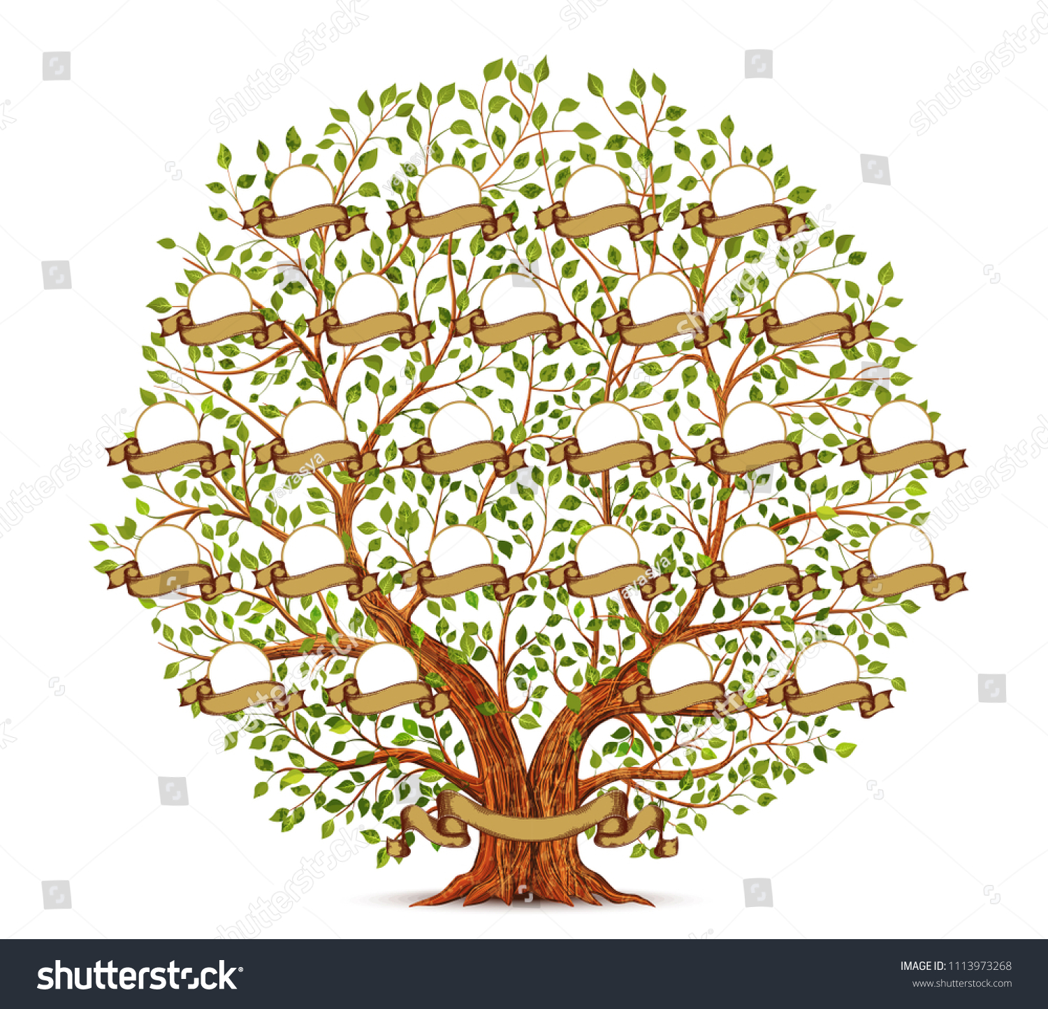 Family Tree Template Vector Illustration Stock Vector (Royalty Free ...