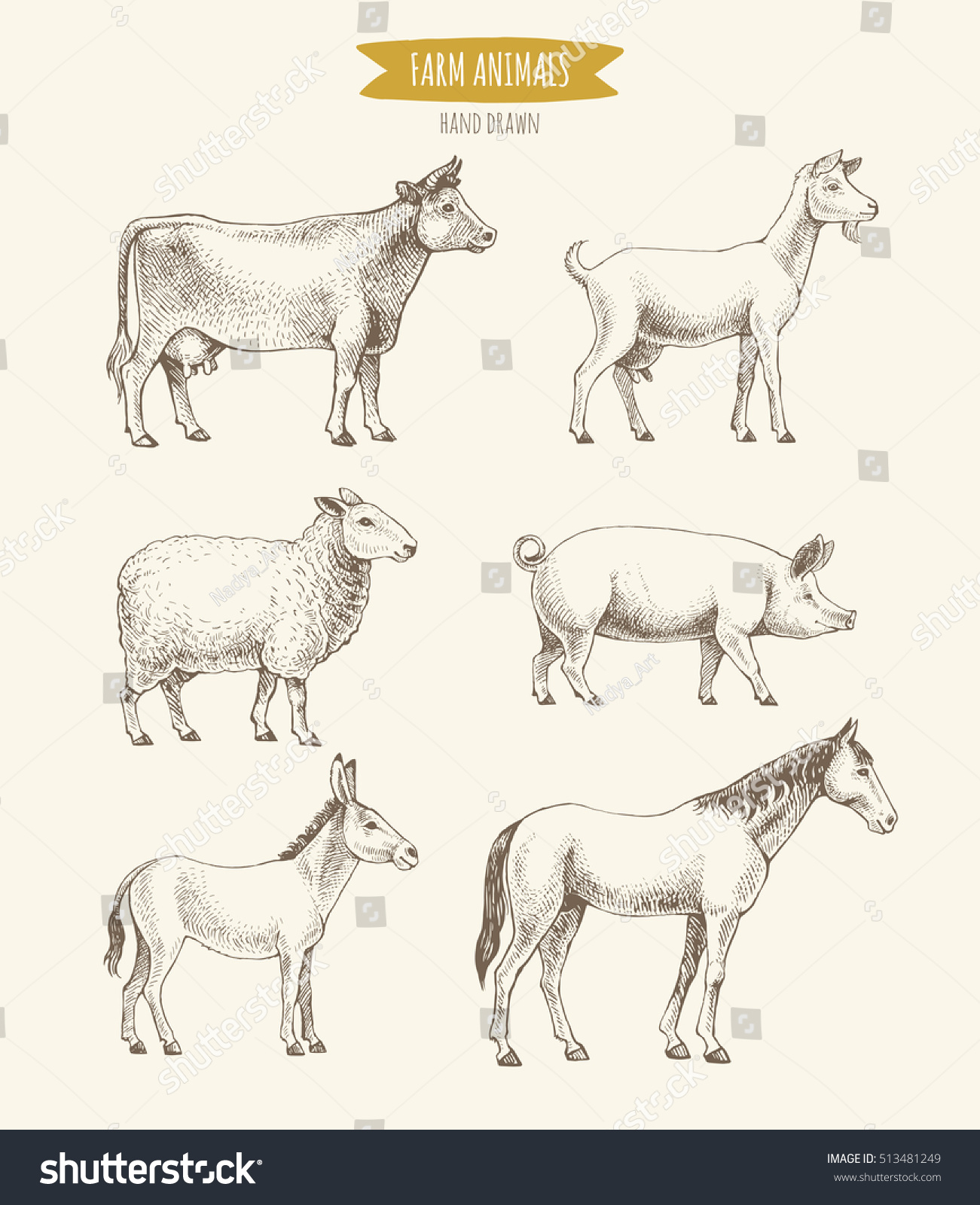5,005 Goat and cow drawing image Stock Illustrations, Images & Vectors ...