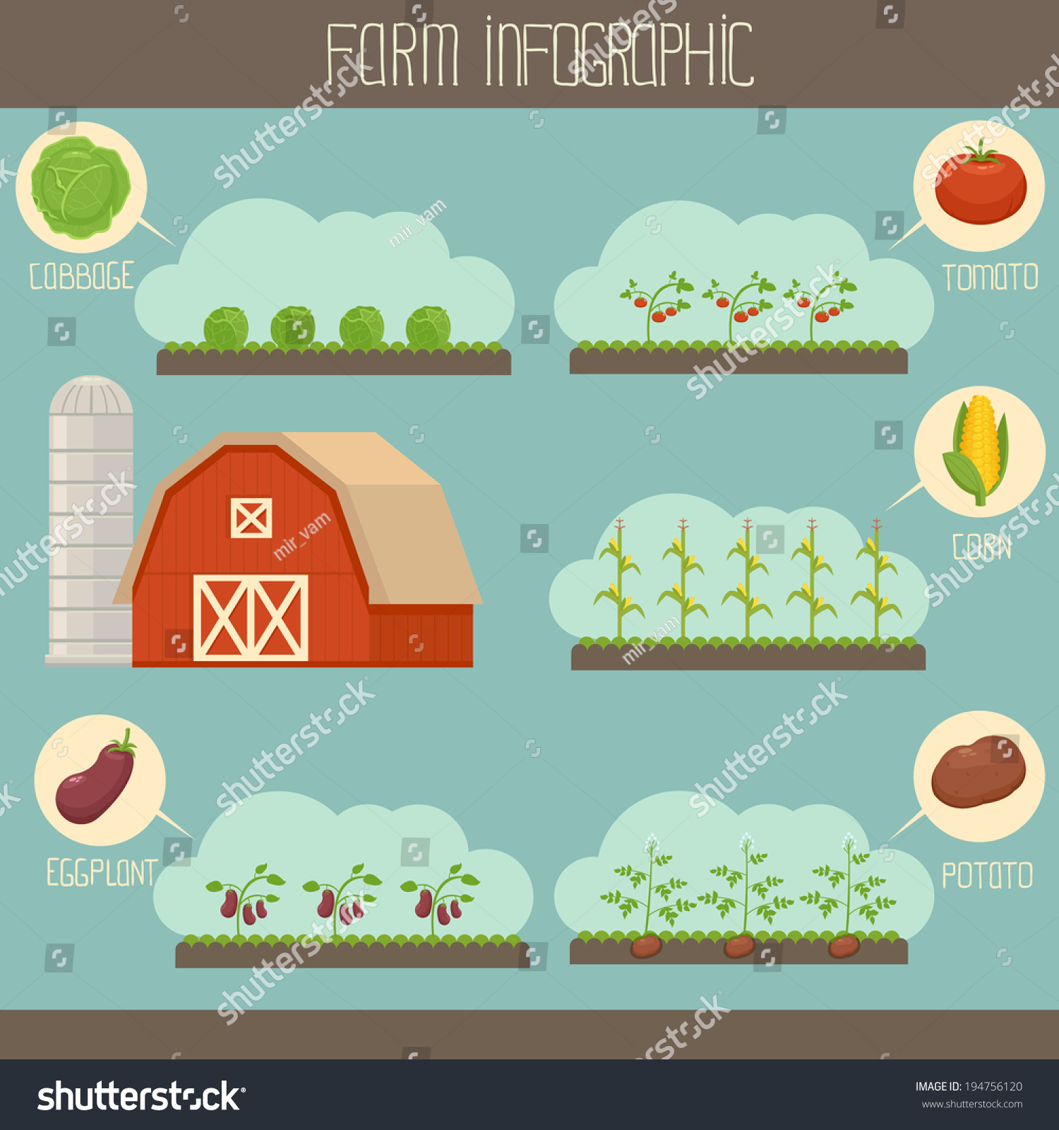 Farm Infographic Stock Vector (Royalty Free) 194756120 | Shutterstock