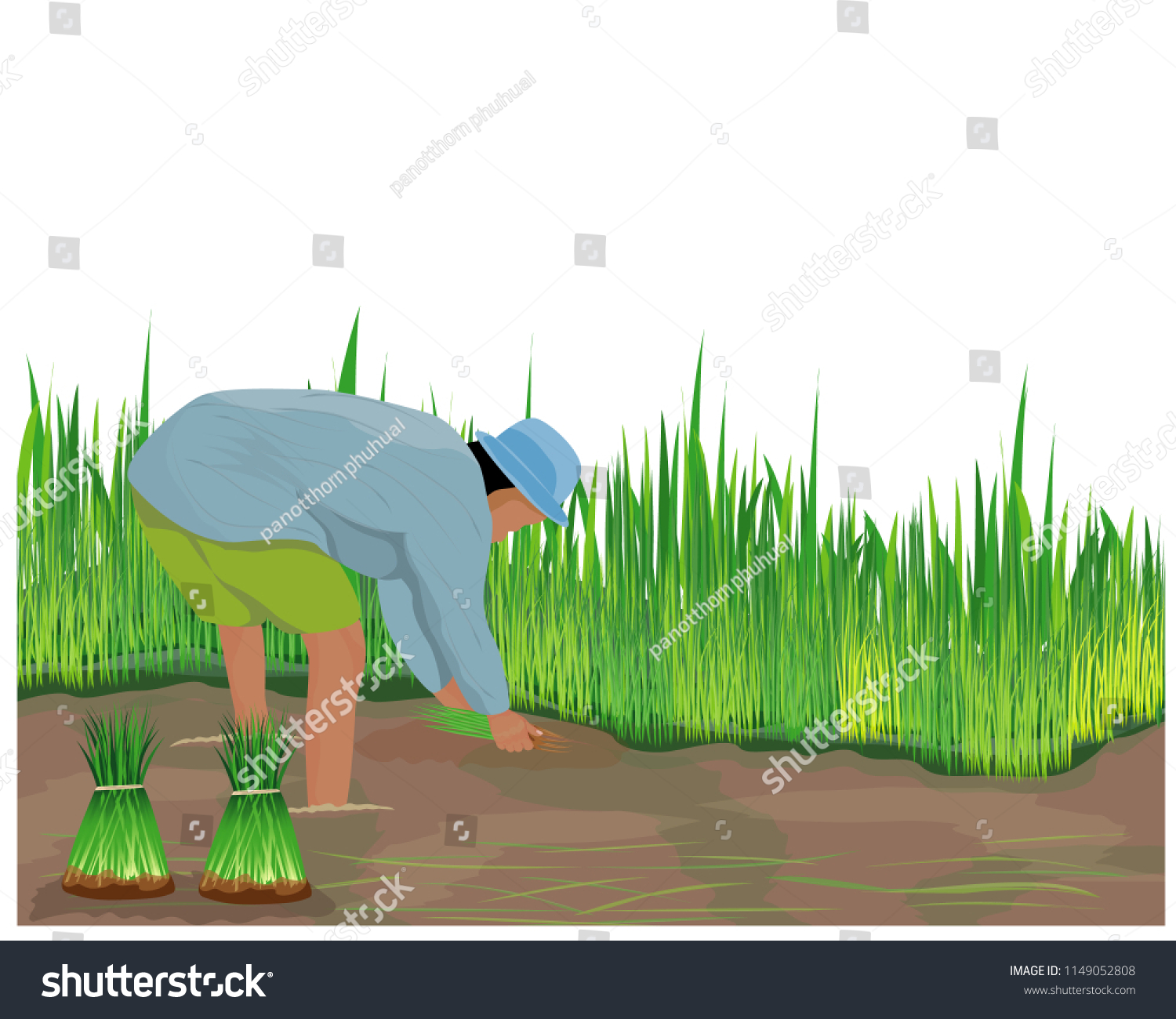 Farmer Work Paddy Field Vector Design Stock Vector (Royalty Free ...