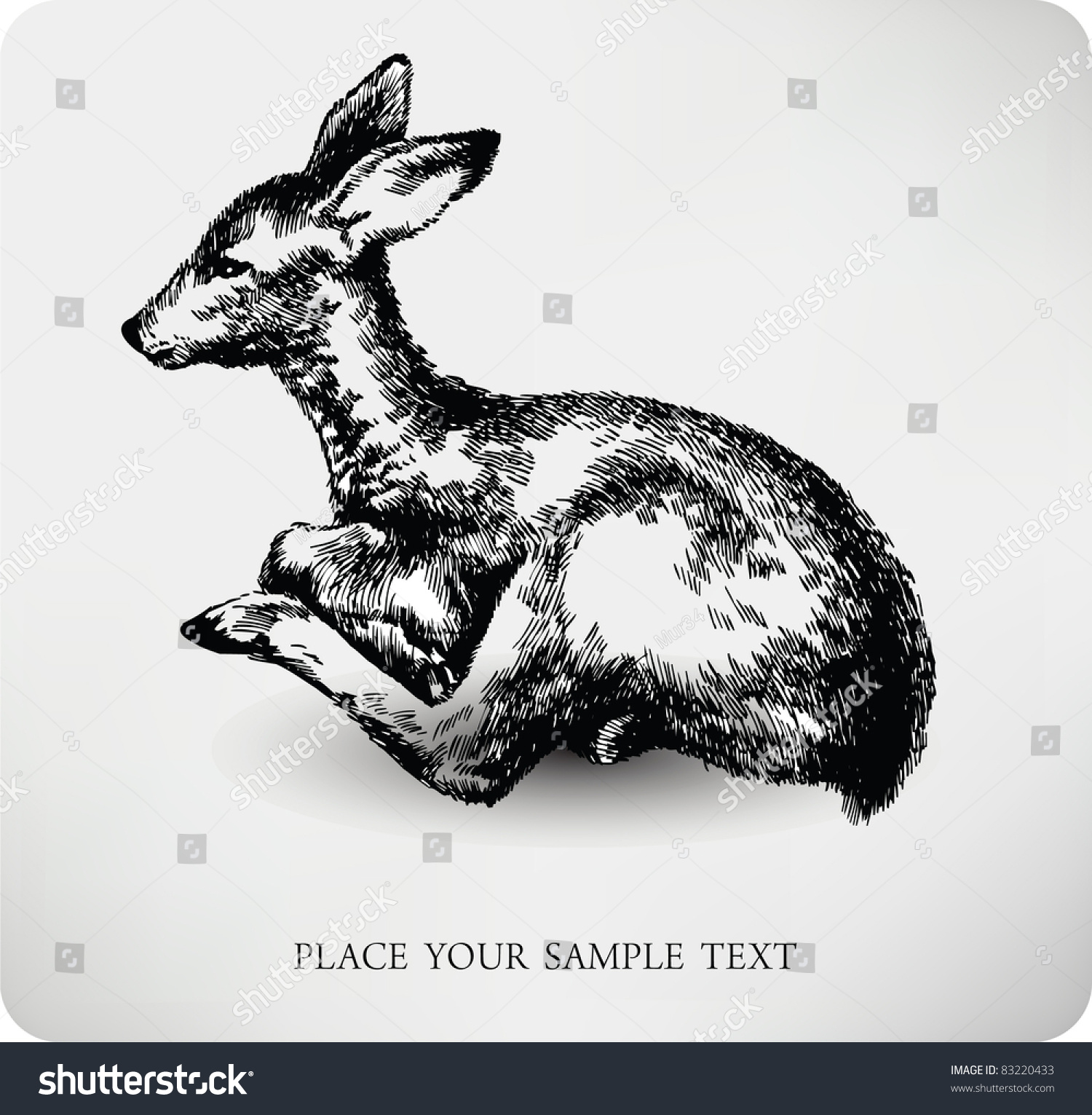Fawn Hand Drawn High Quality Vector Stock Vector (Royalty Free) 83220433
