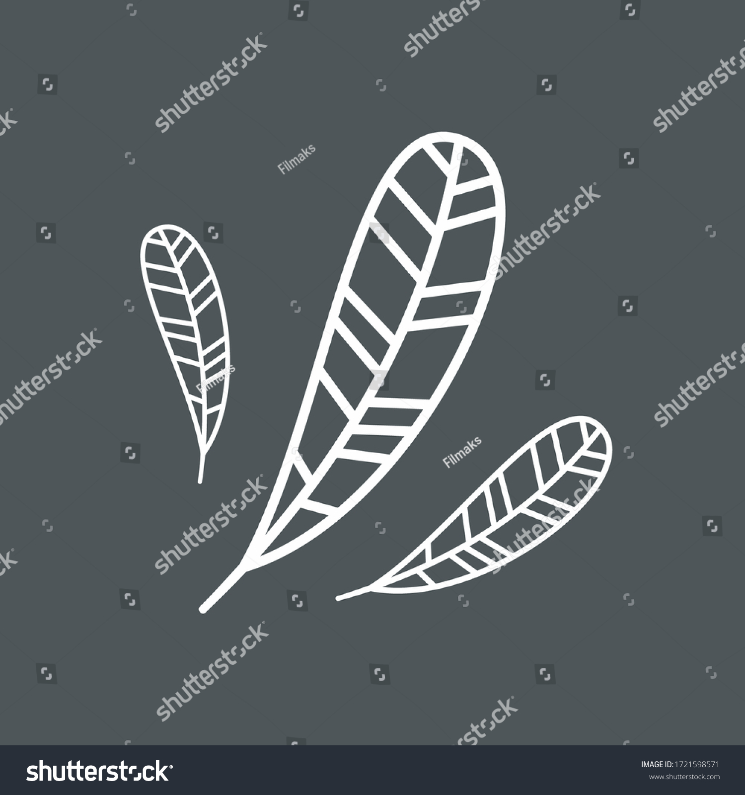 Feather Fluff Drawn Leaflet Quality Vector Stock Vector (Royalty Free ...