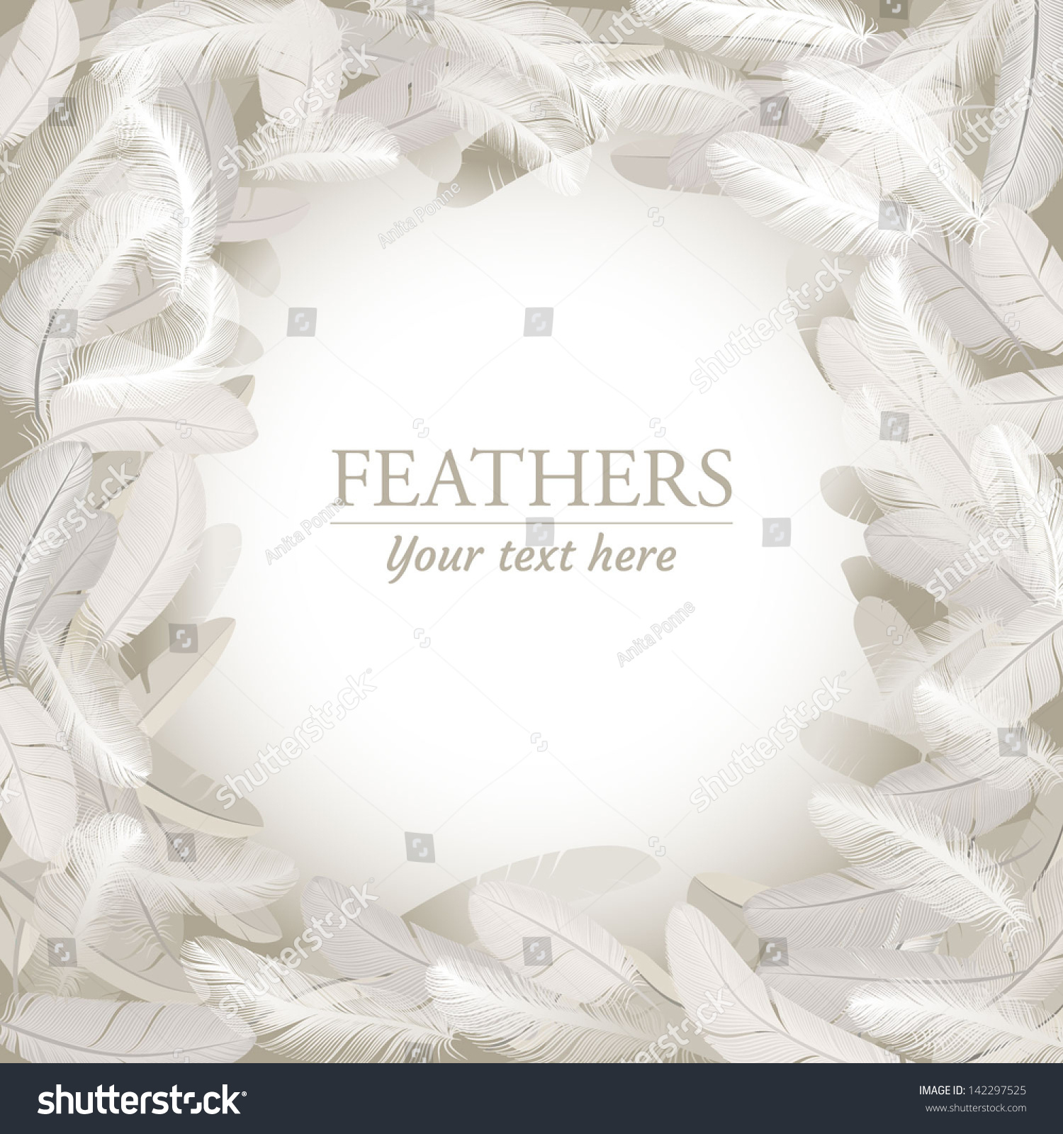 Feathers Frame Copy Space Vector Illustrations Stock Vector (Royalty ...