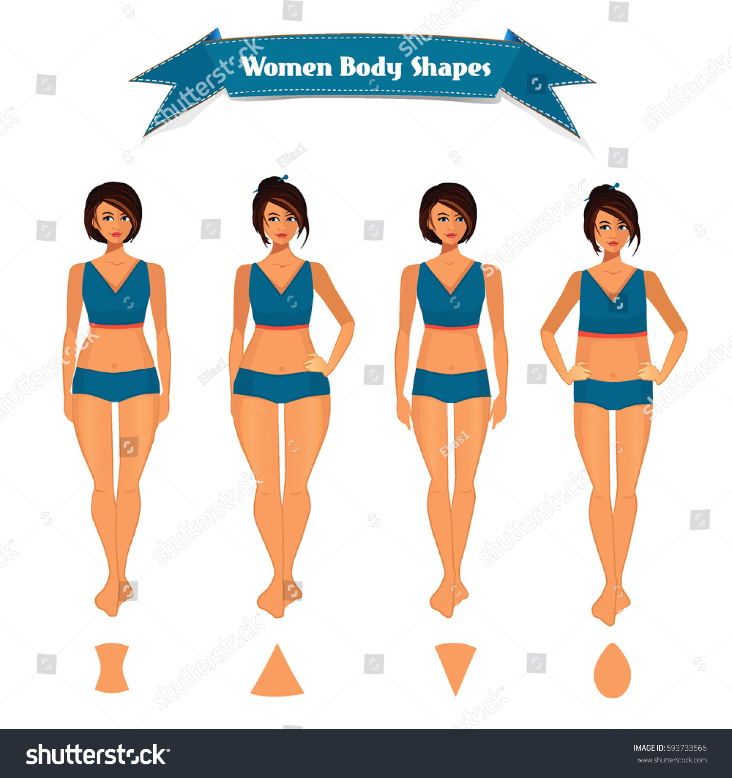 Female Body Shapes Vector Illustration เวกเตอร์สต็อก ปลอดค่าลิขสิทธิ์ 593733566 Shutterstock